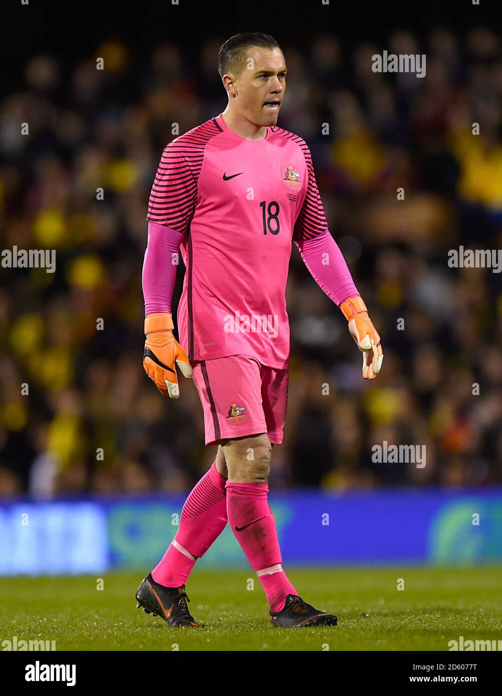 Goalkeeeper Danny Vukovic, Australia Stock Photo - Alamy