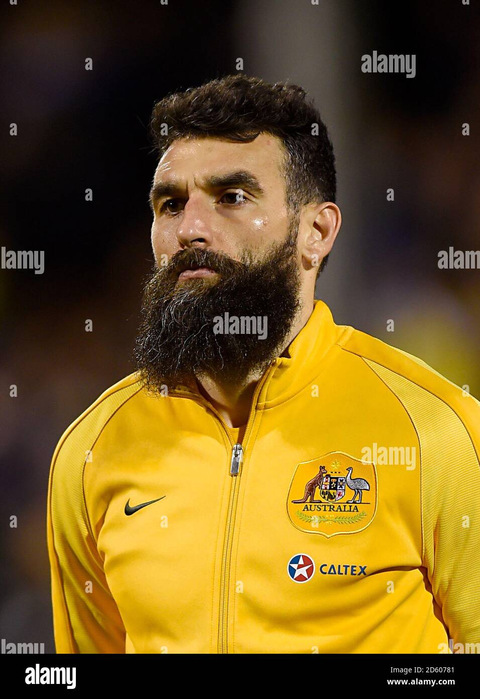Australia's Mile Jedinak Stock Photo - Alamy