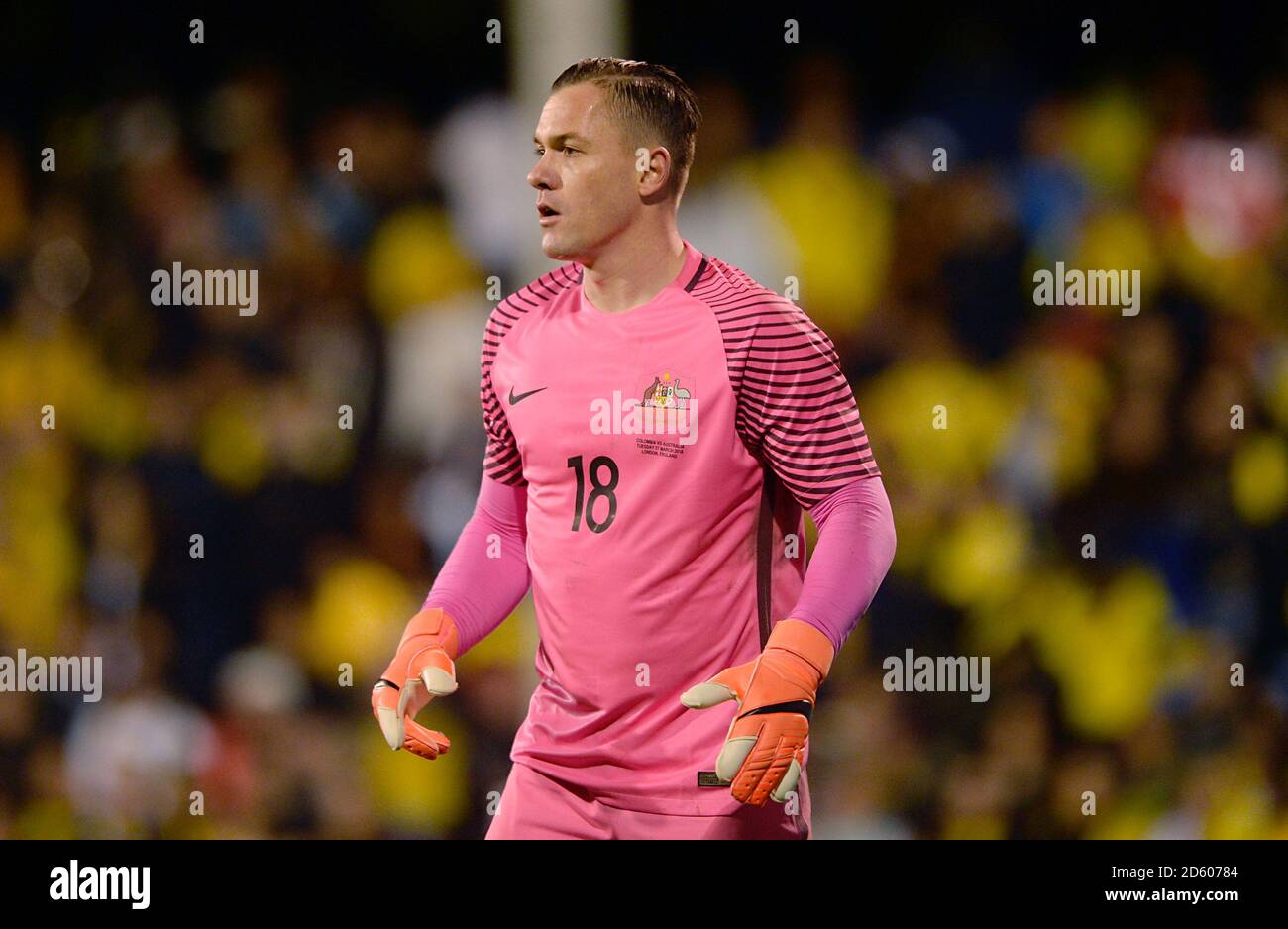 Australia goalkeeper Danny Vukovic Stock Photo - Alamy