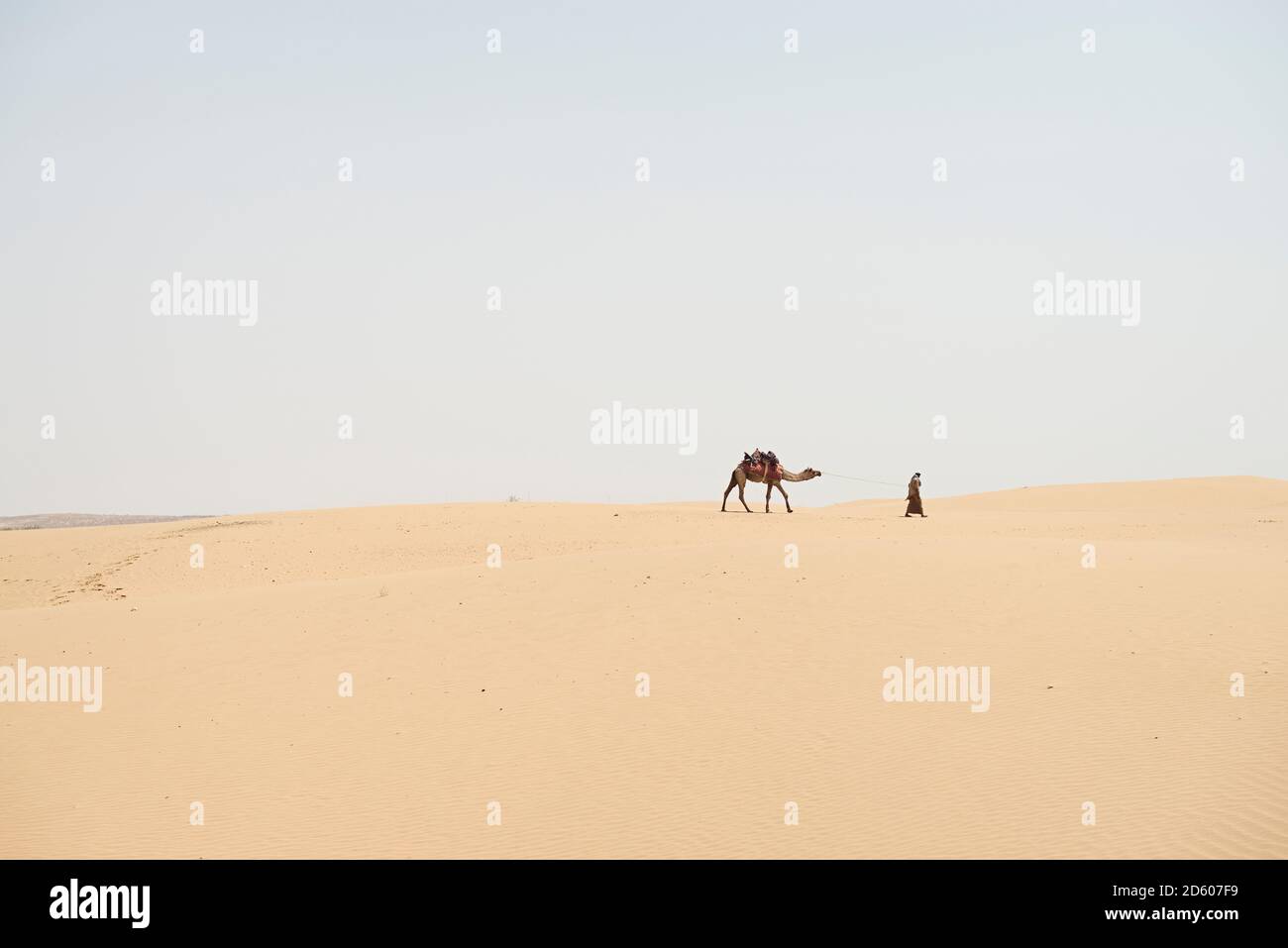 Man leading camel hi-res stock photography and images - Alamy