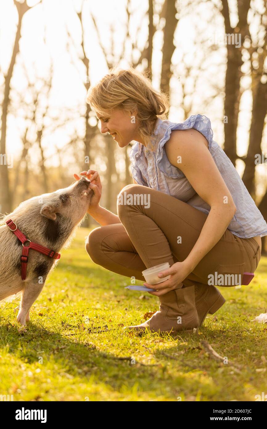 Woman feeding pig hi-res stock photography and images - Alamy