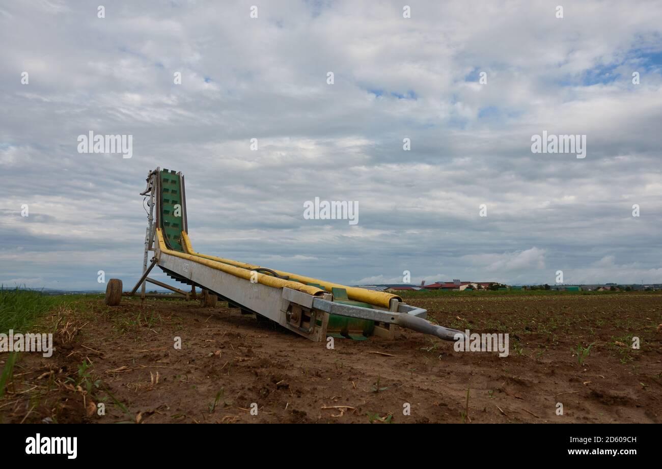 Conveyor belt harvesting machine for harvesting field crops. G Stock ...