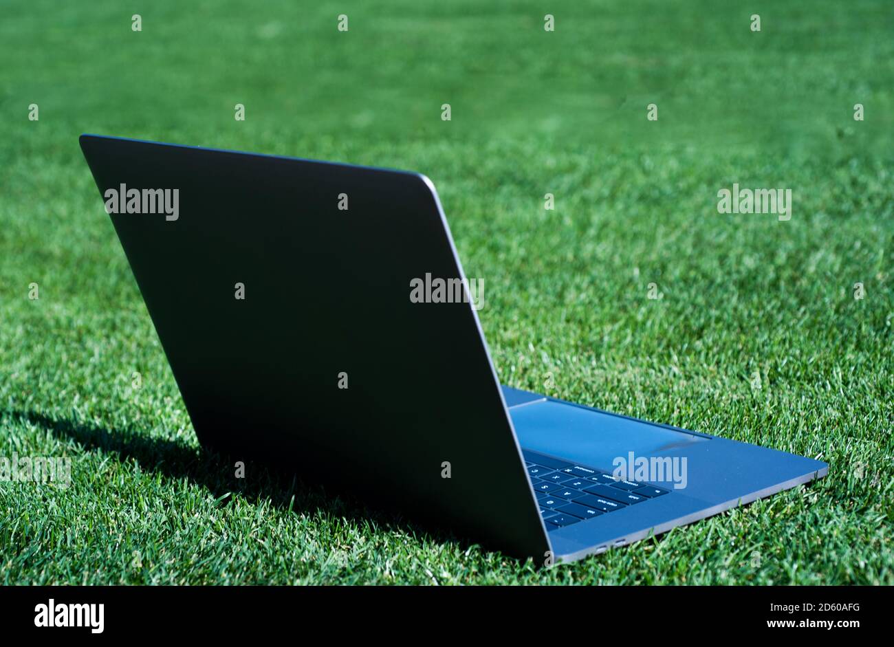 laptop on green grass. agile business. distance learning concept ...