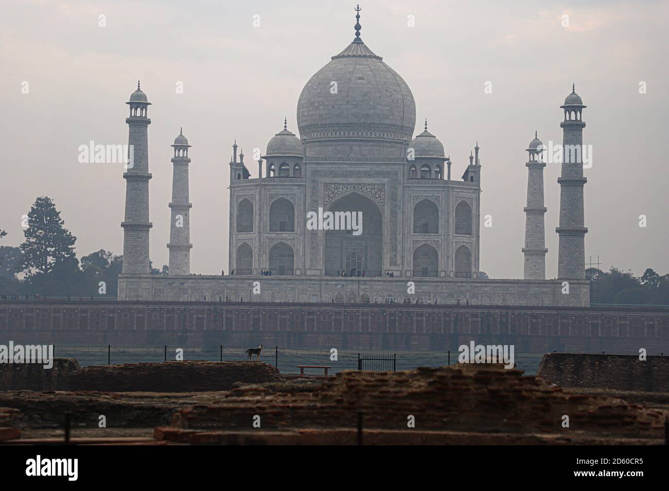 Taj mahal beautiful view hi-res stock photography and images - Alamy