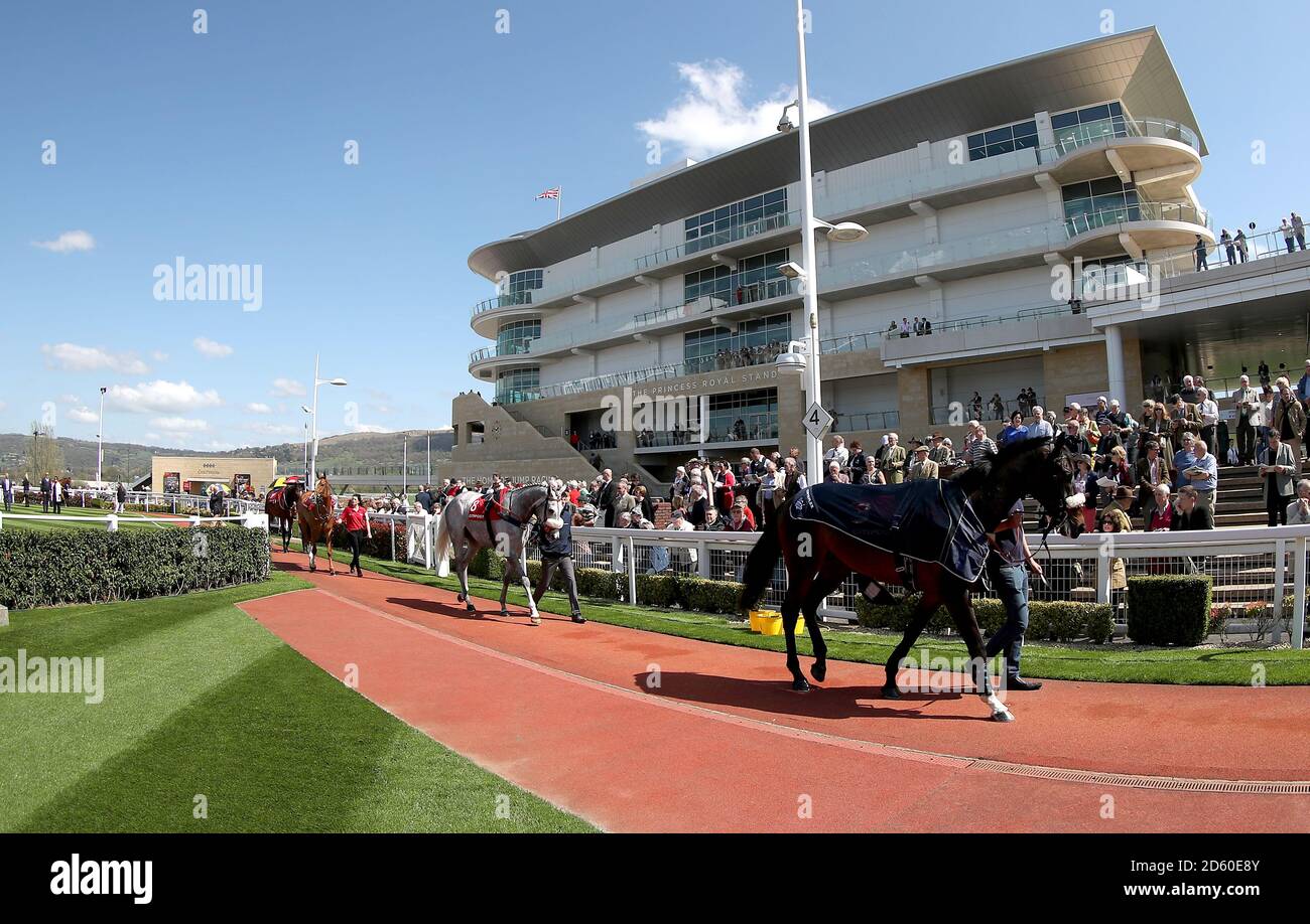Full length horses races racing hi-res stock photography and images - Alamy