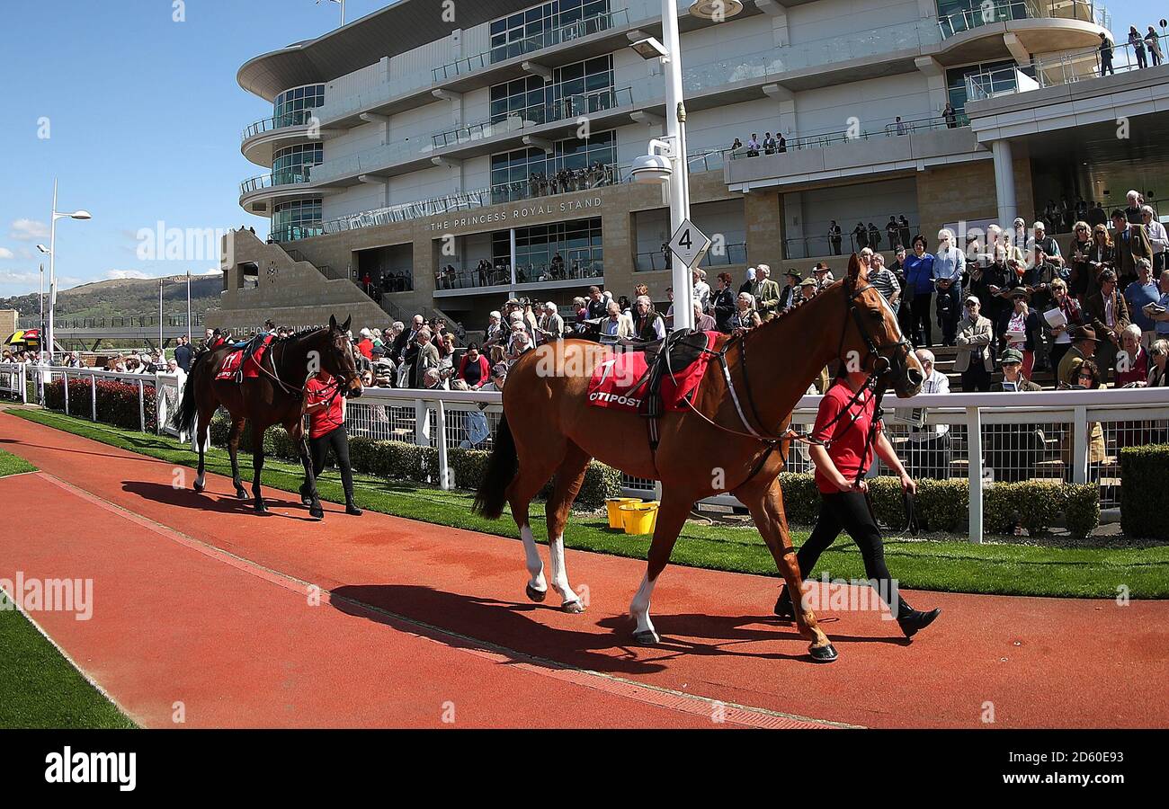 Full length horses races racing hi-res stock photography and images - Alamy