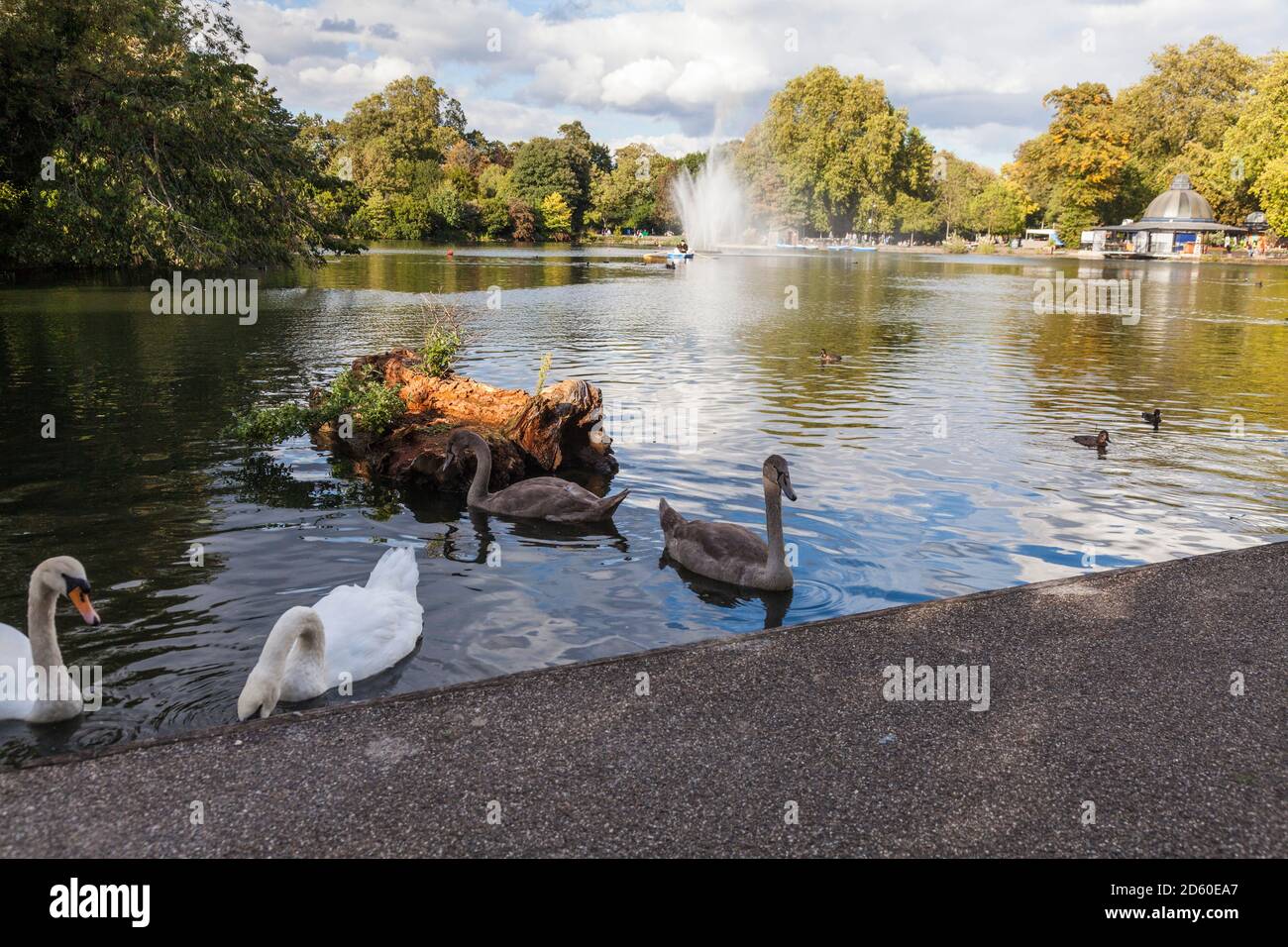 A fountain in the lake in Victoria Park, Hackney, London alongside the ...
