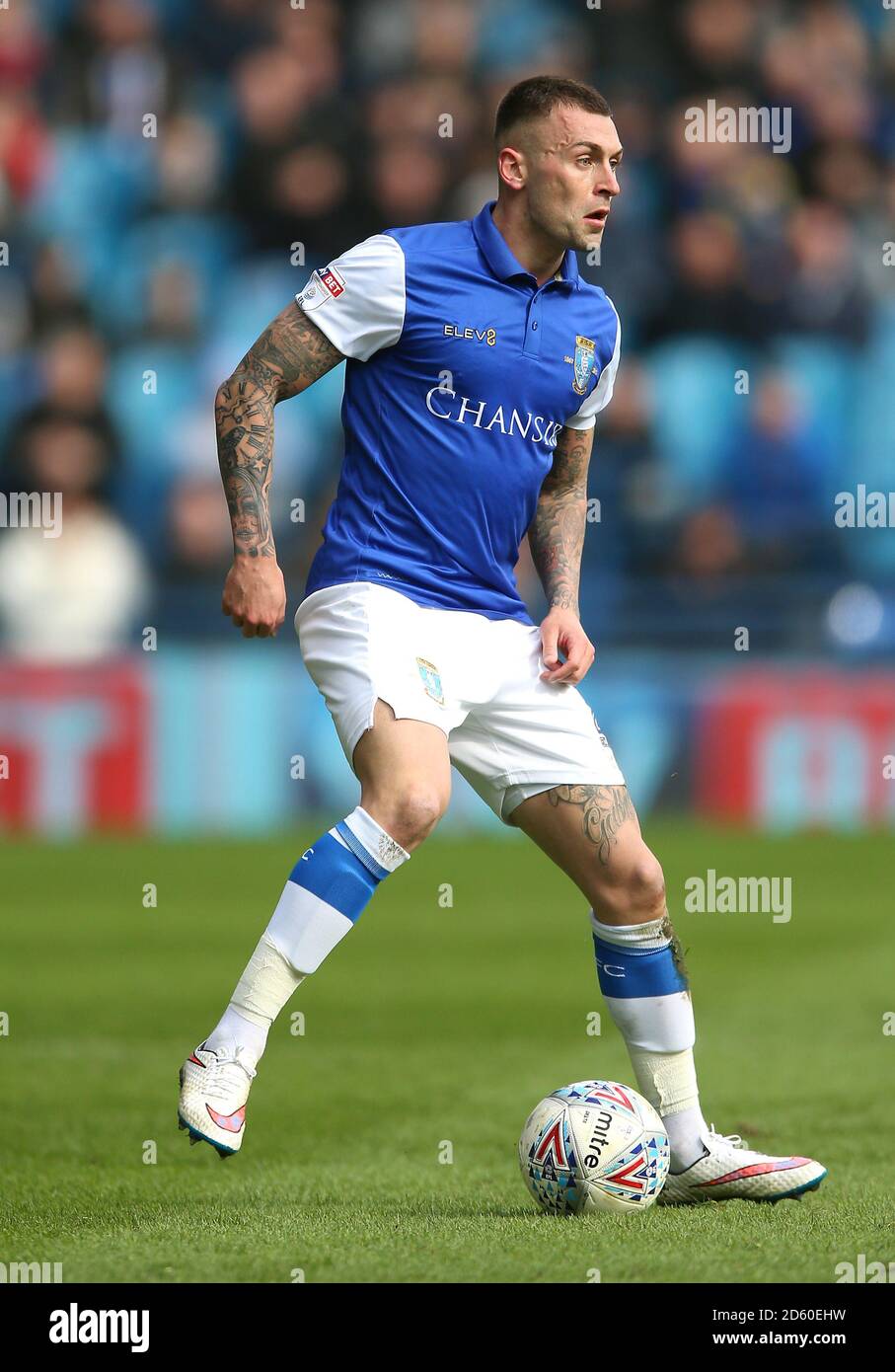 Sheffield Wednesday's Jack Hunt Stock Photo - Alamy