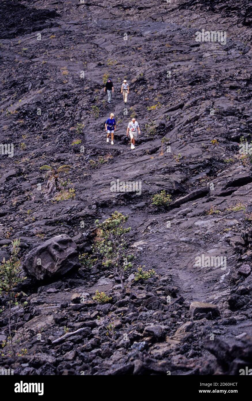Hawaii Volcanoes National Park. Two Couples Hiking on Kilauea Iki Trail ...