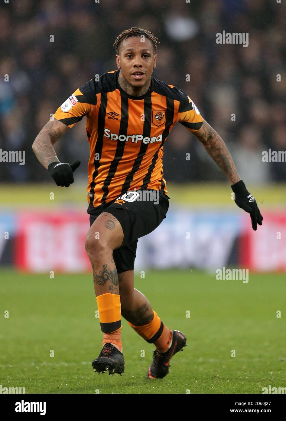 Hull City's Alfred N'Diaye Stock Photo - Alamy