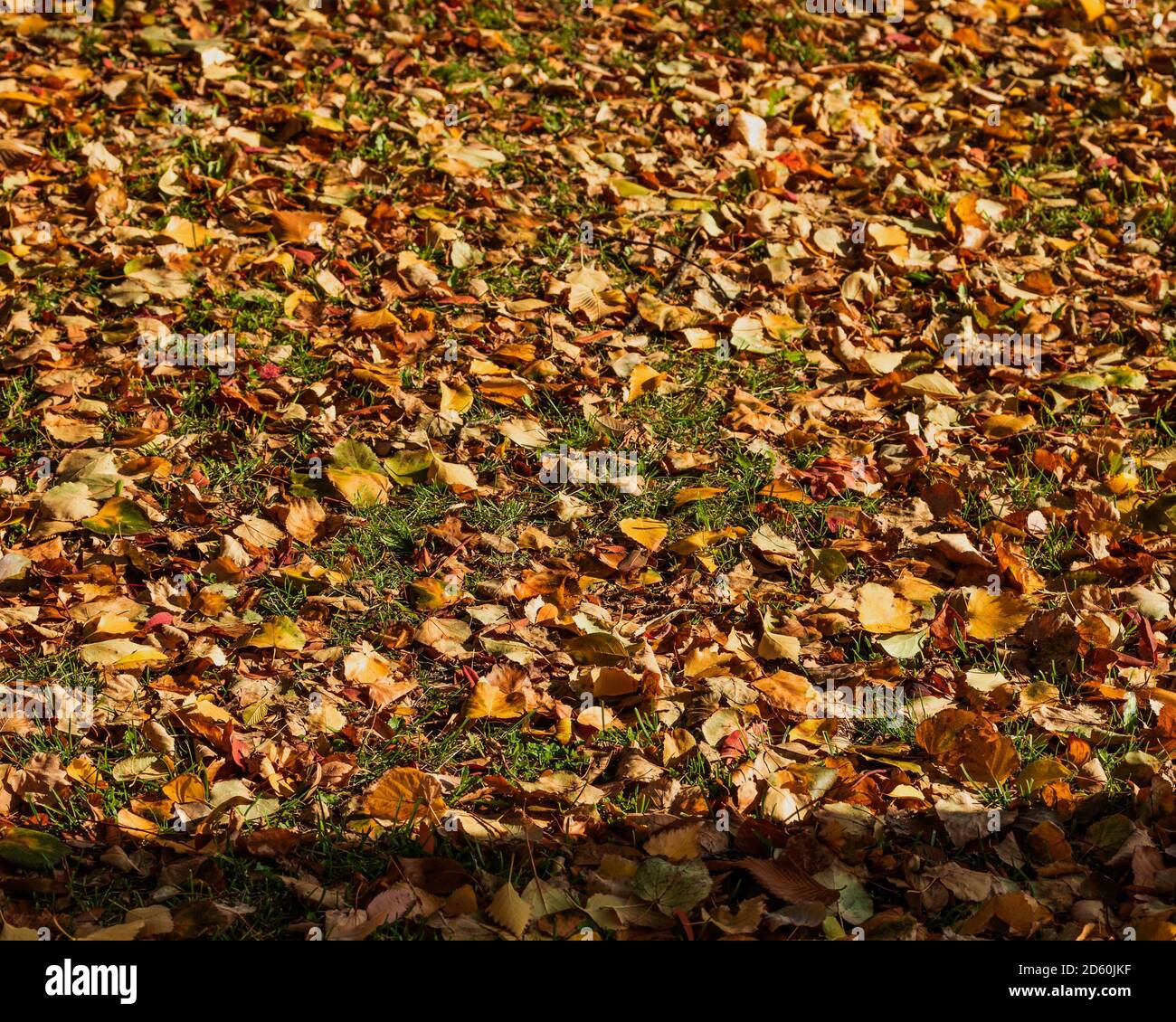Ground condition hi-res stock photography and images - Alamy