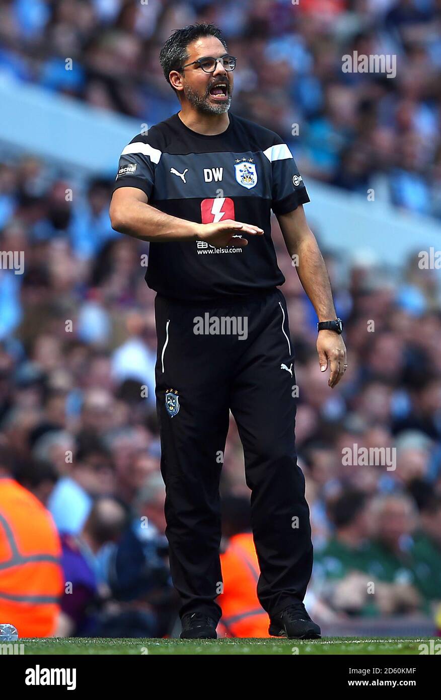 Huddersfield Town manager David Wagner during the game Stock Photo - Alamy