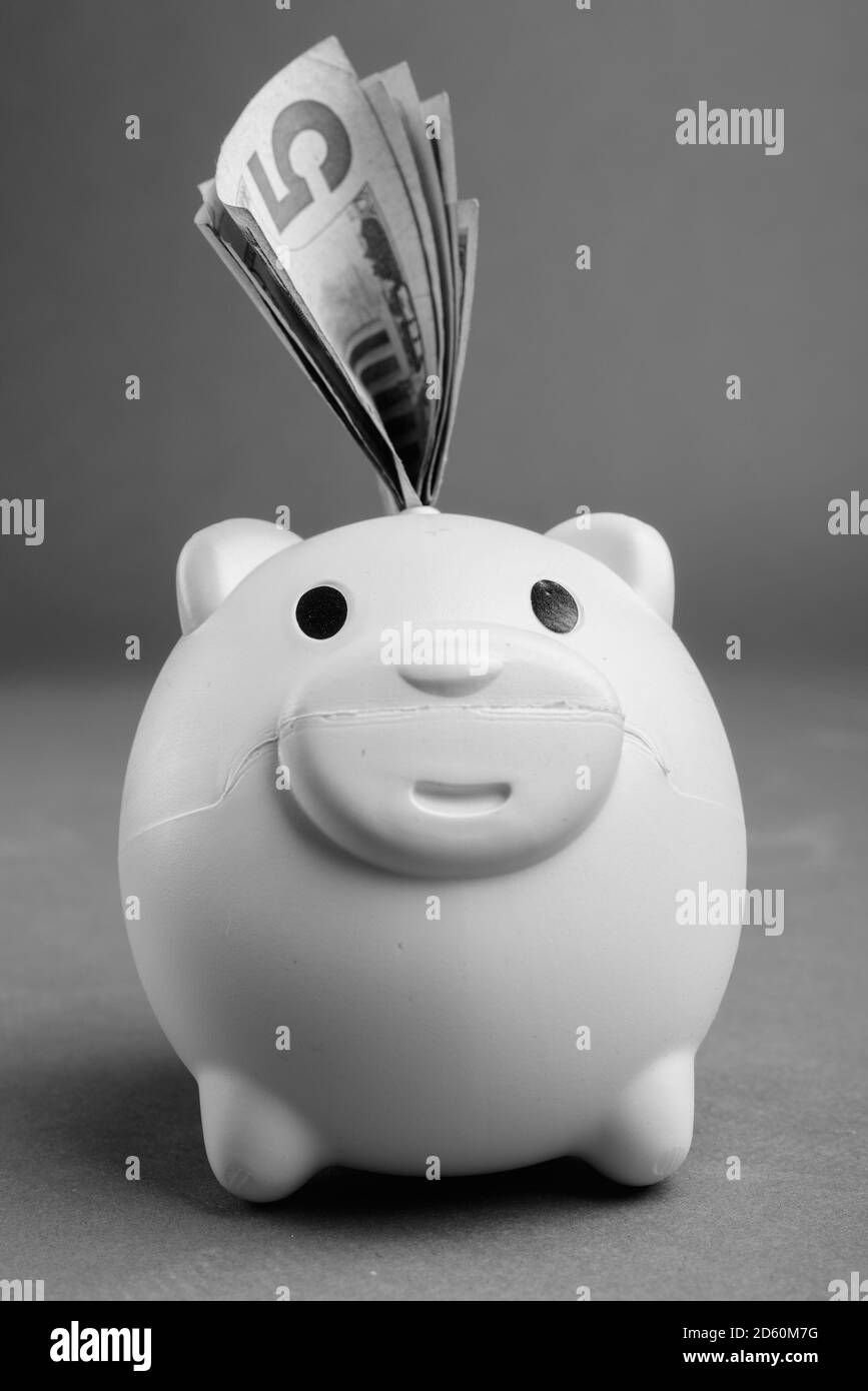 Front View Of Piggy Bank With Dollars Stock Photo - Alamy