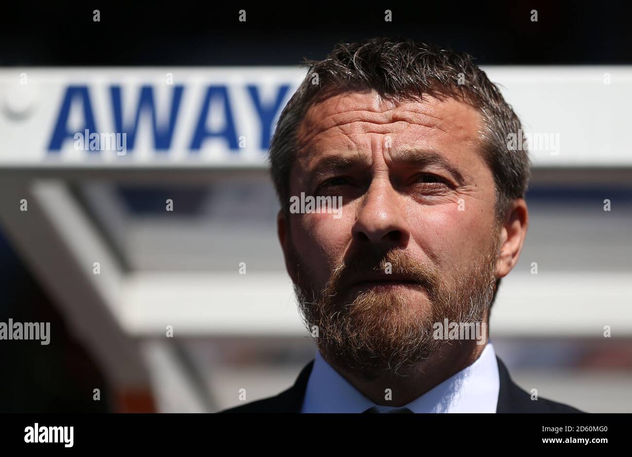 Fulham manager Slavisa Jokanovic Stock Photo - Alamy