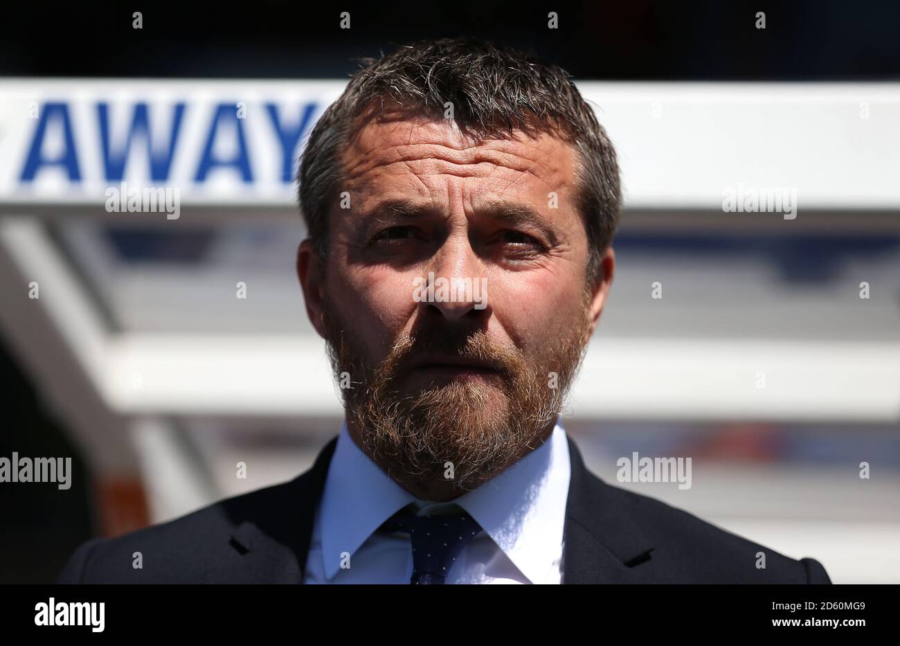 Fulham manager Slavisa Jokanovic Stock Photo - Alamy