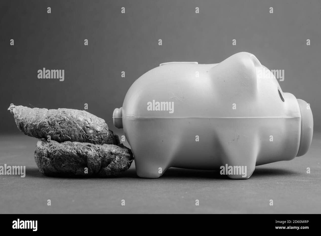 Side View Of Piggy Bank Defecating Animal Poop Stock Photo - Alamy