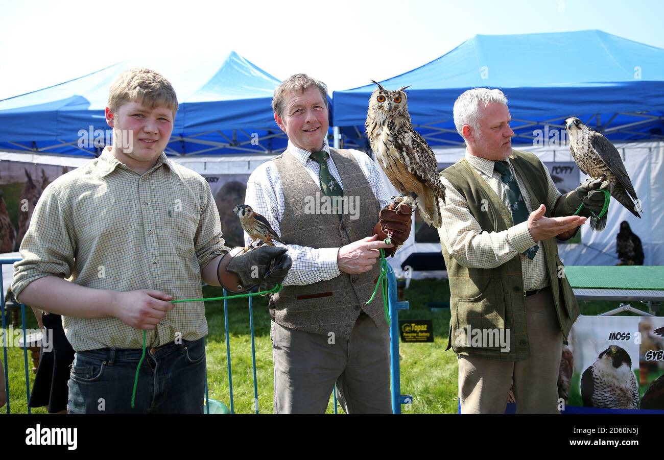 Handlers hold birds during Kids Carnival Day at Warwick Races Stock ...
