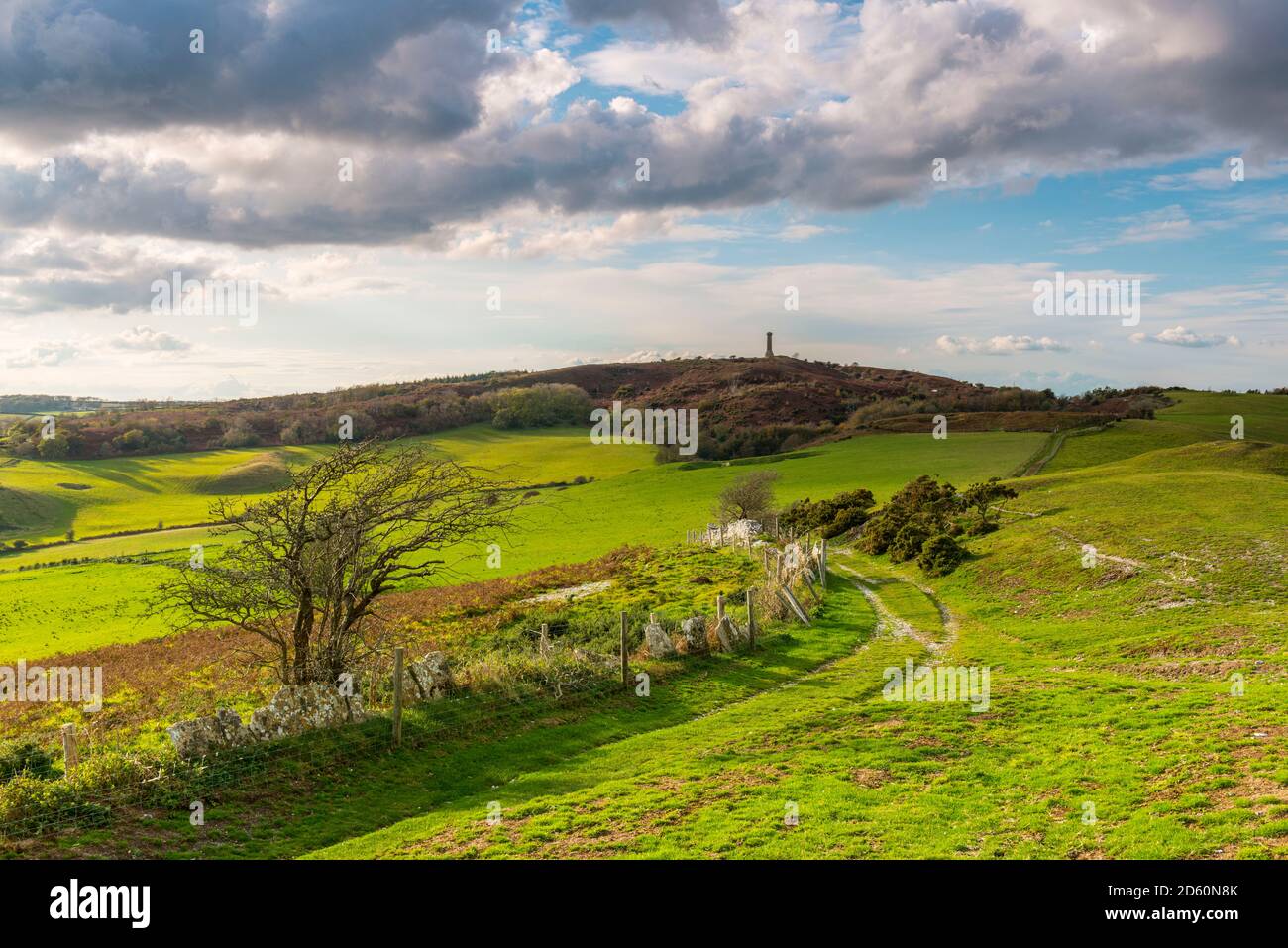 From south dorset ridgeway hi-res stock photography and images - Alamy