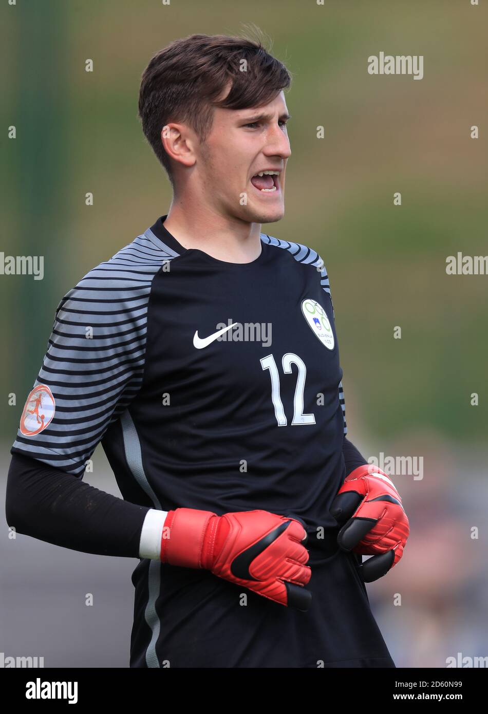 Slovenia goalkeeper Alen Jurca Stock Photo - Alamy