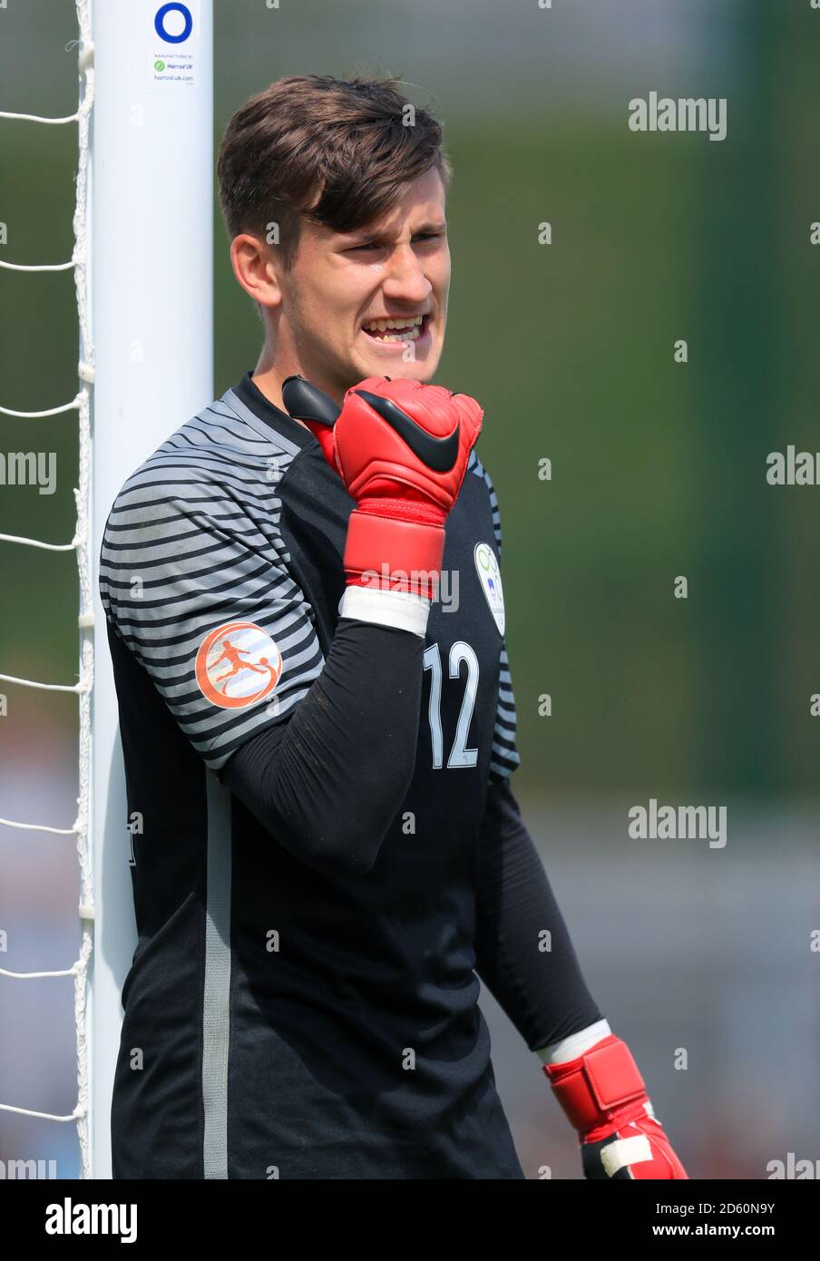 Slovenia goalkeeper Alen Jurca Stock Photo - Alamy