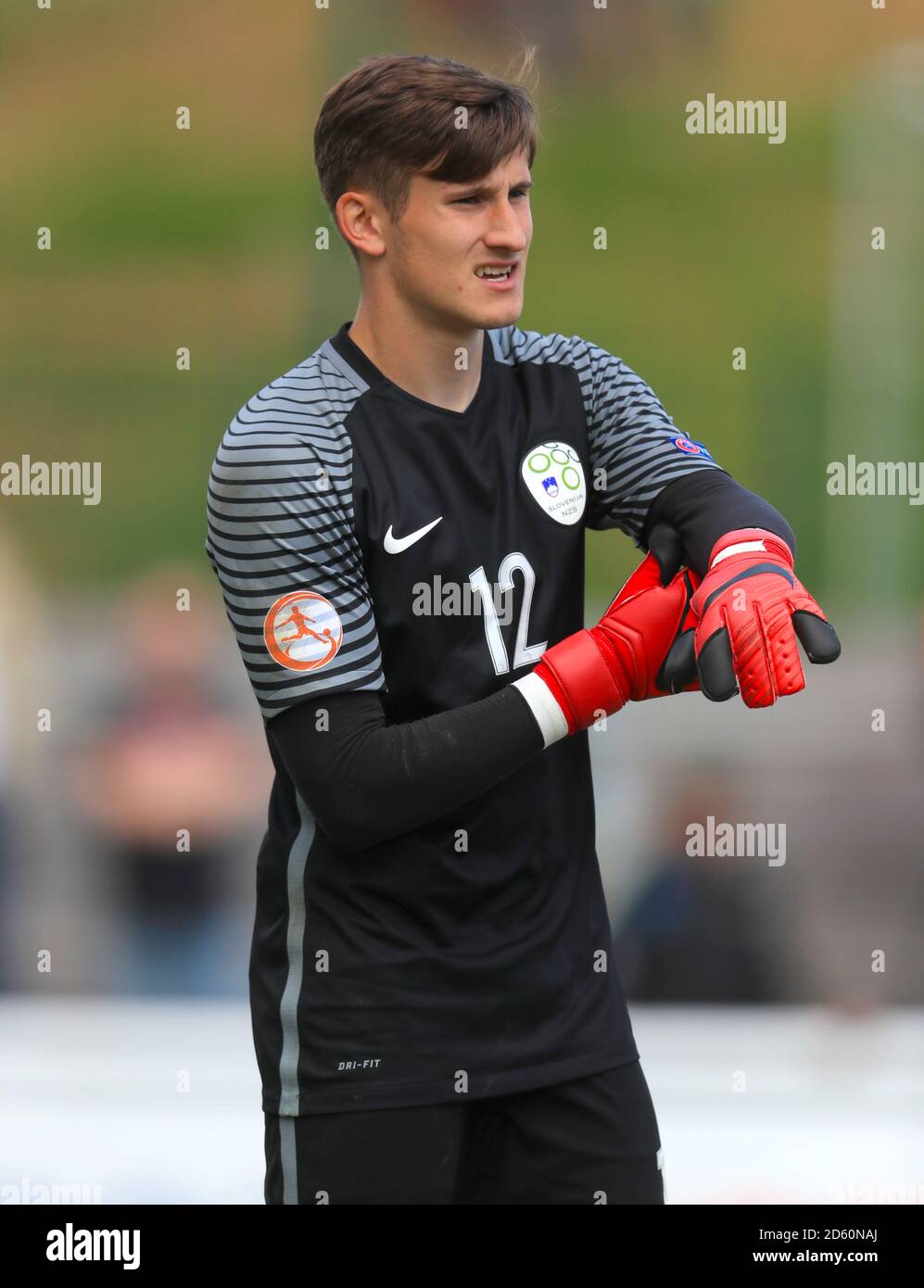 Slovenia goalkeeper Alen Jurca Stock Photo - Alamy