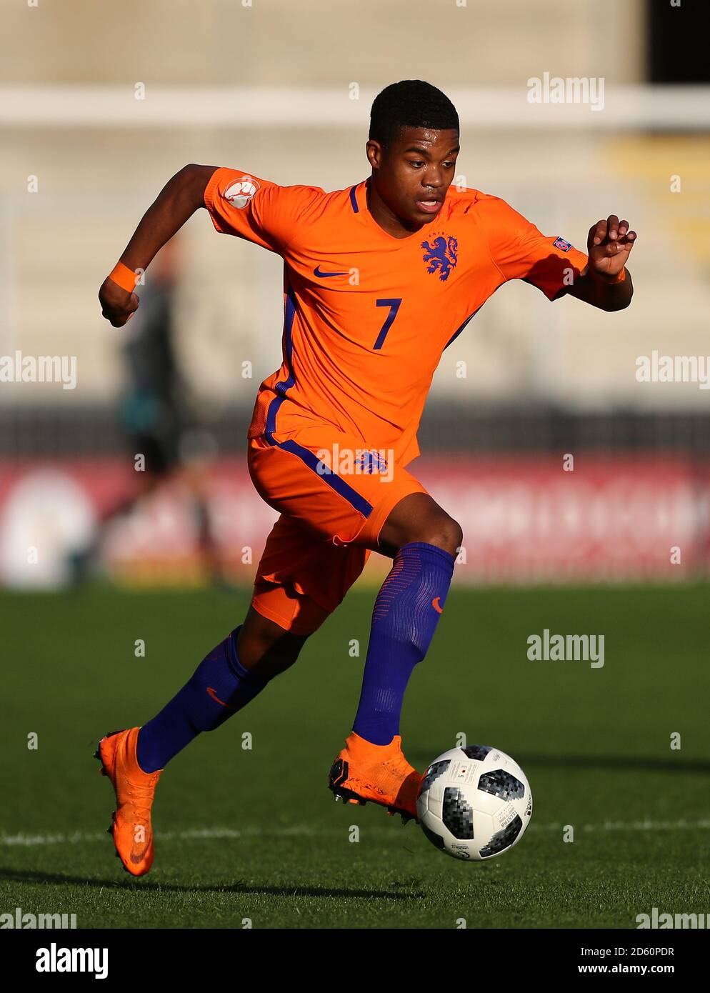 Netherlands' Nigel Thomas Stock Photo - Alamy