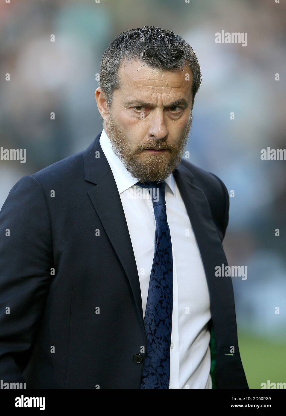Fulham manager Slavisa Jokanovic Stock Photo - Alamy