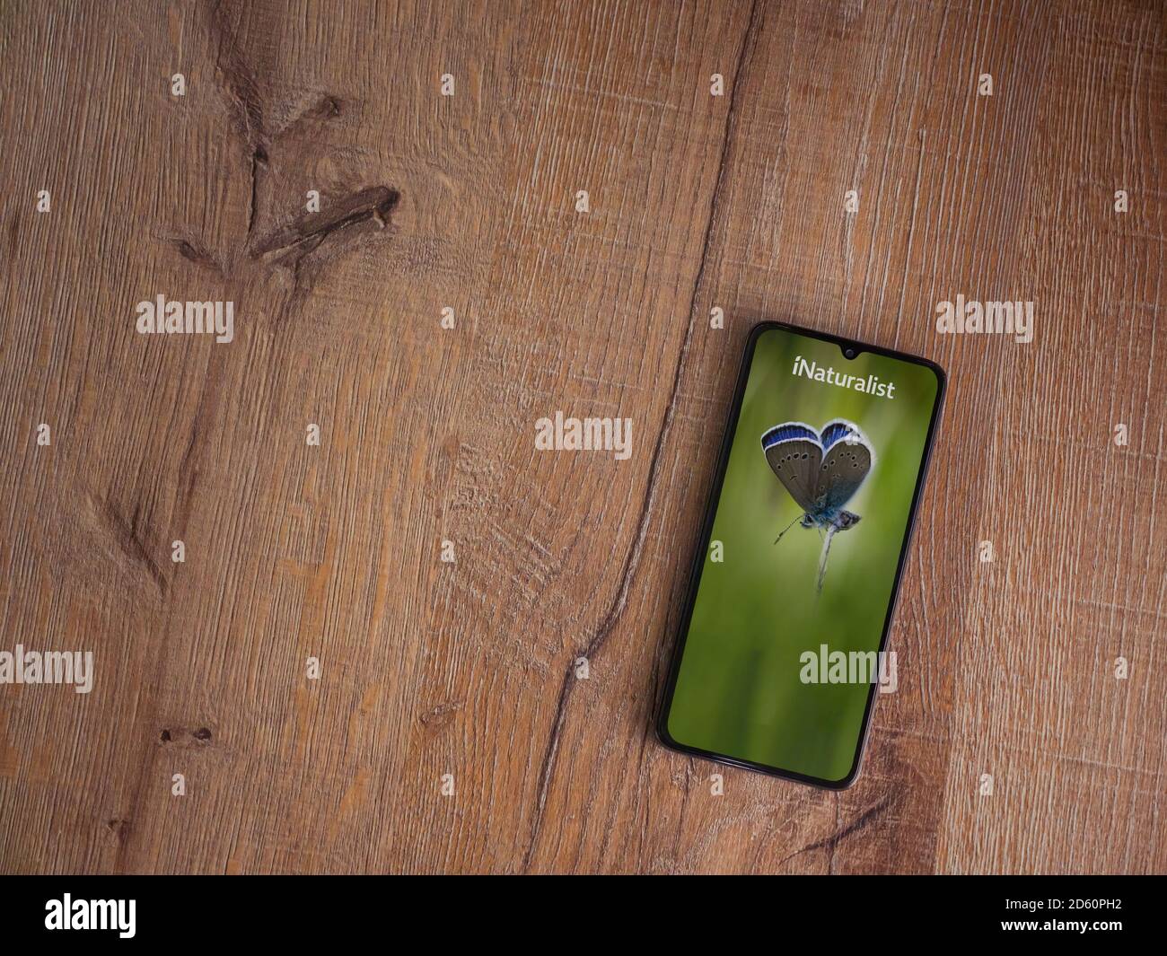 Lod, Israel - July 8, 2020: iNaturalist app launch screen with logo on ...