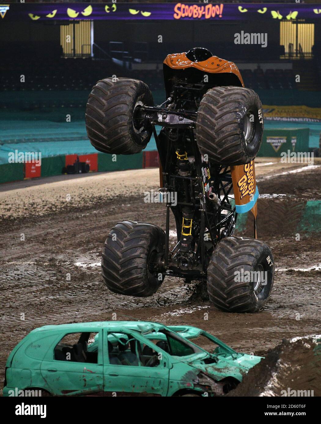 Scooby Doo (Linsey Read Stock Photo - Alamy