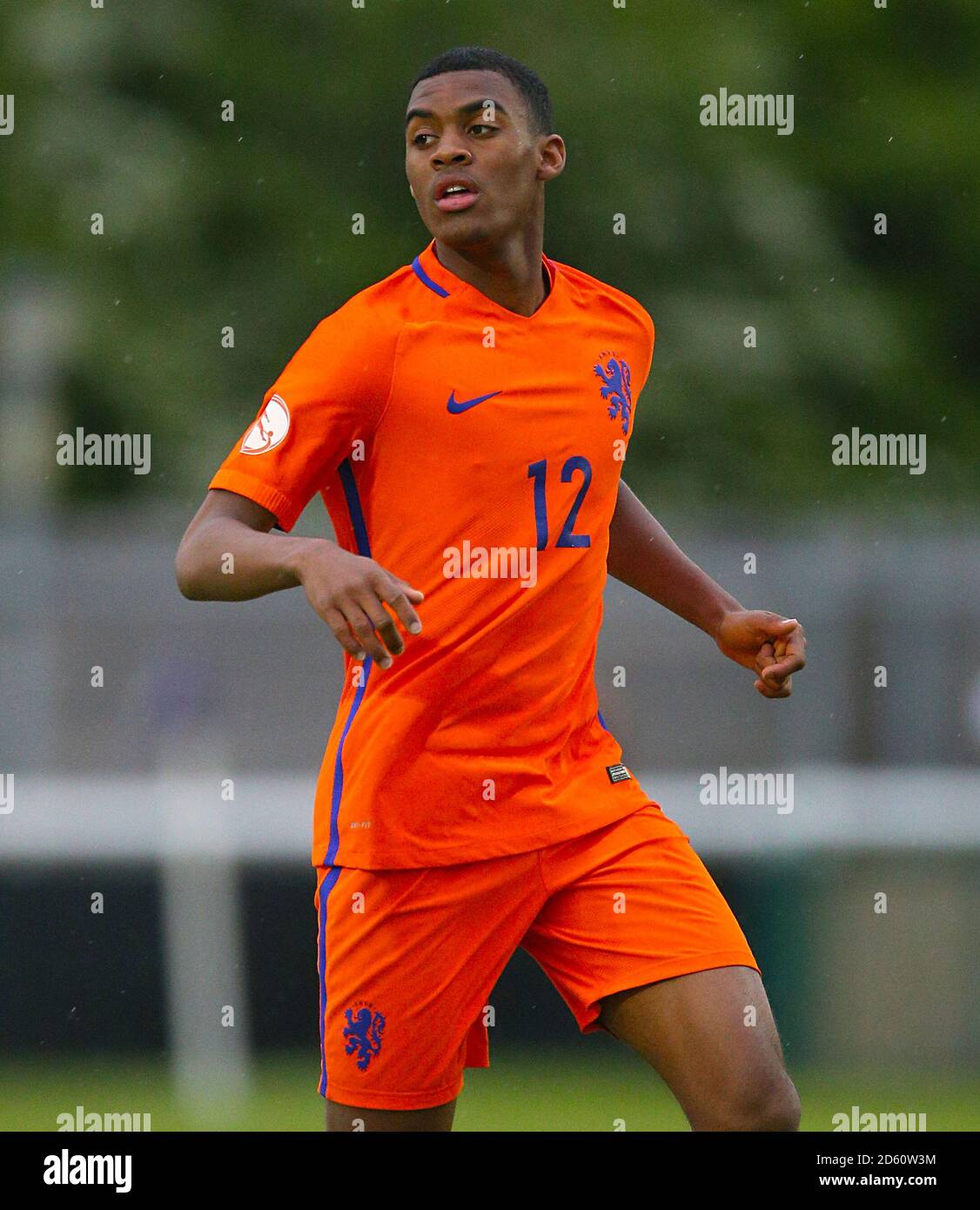 Ryan Gravenberch, Netherlands Stock Photo - Alamy