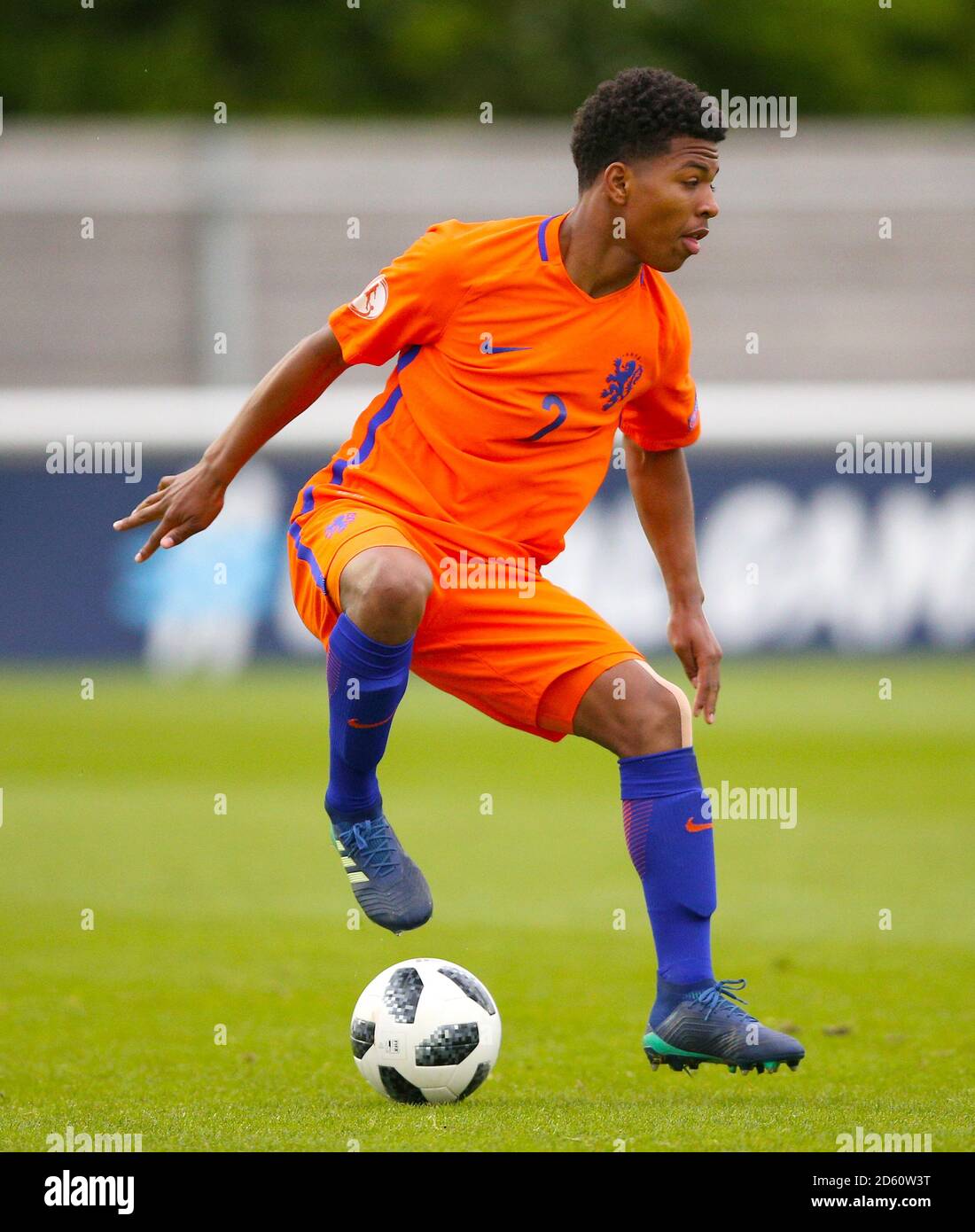 Shurandy Sambo, Netherlands Stock Photo - Alamy