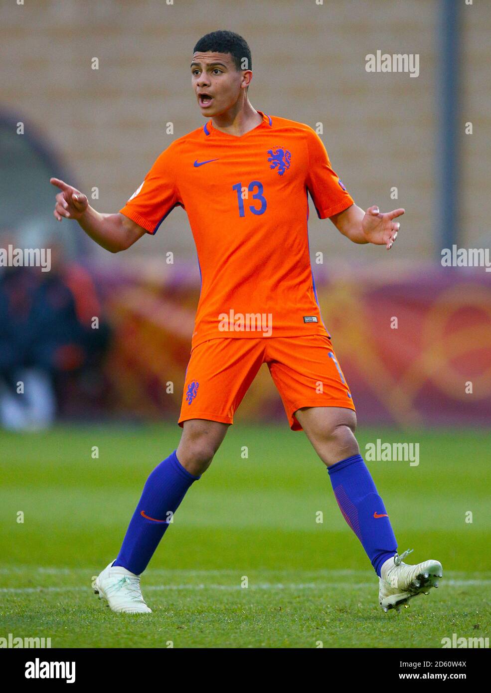 Elayis Tavsan, Netherlands Stock Photo - Alamy