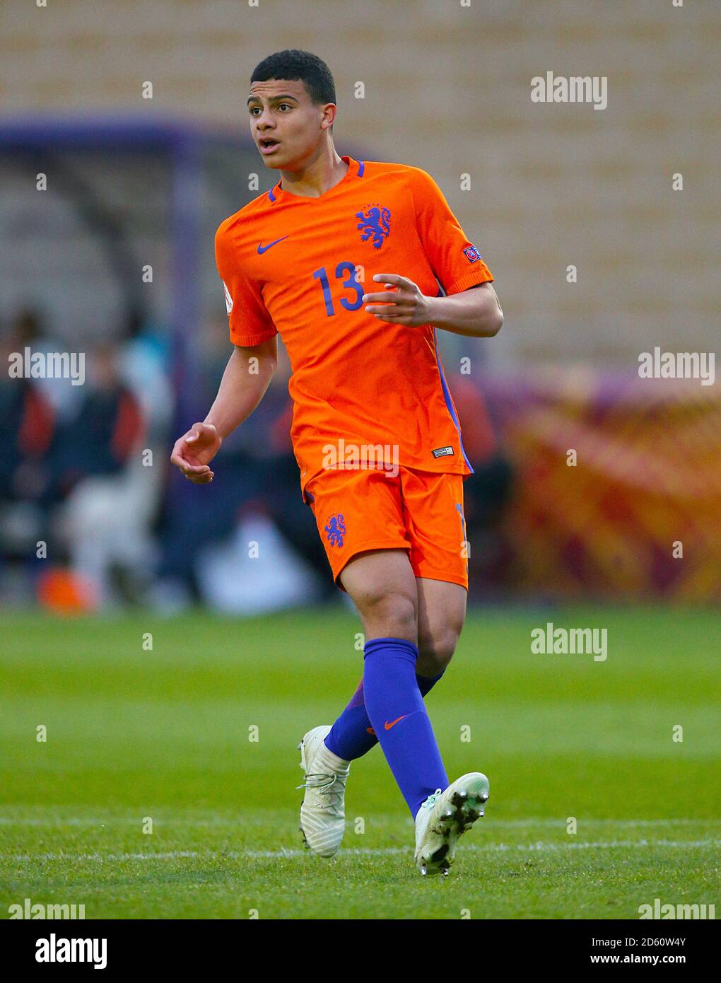 Elayis Tavsan, Netherlands Stock Photo - Alamy