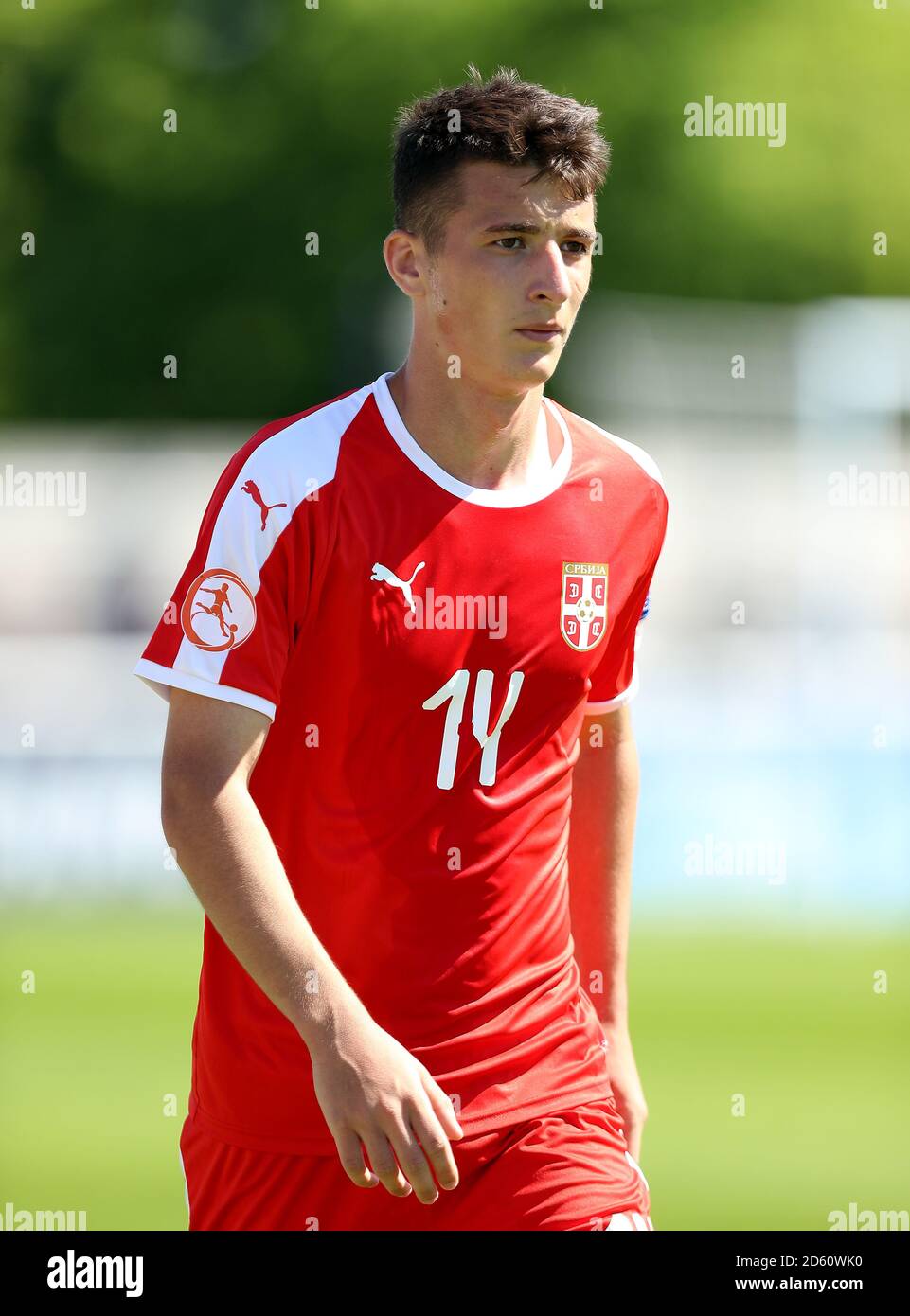 Danilo Mitrovic, Serbia Stock Photo - Alamy