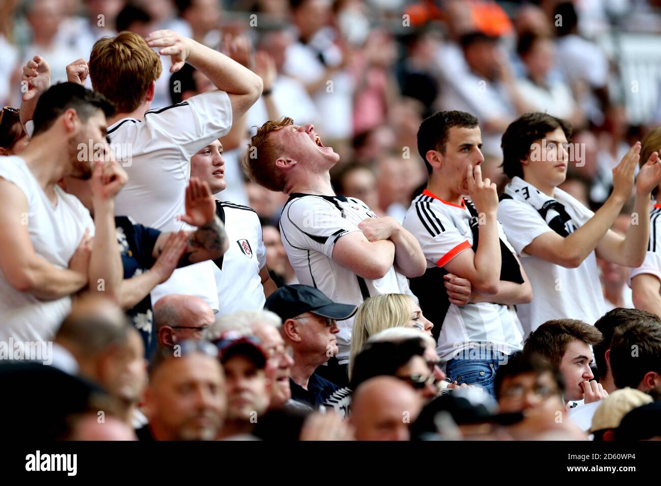 Fulham fans in the crowd react to a missed chance Stock Photo - Alamy