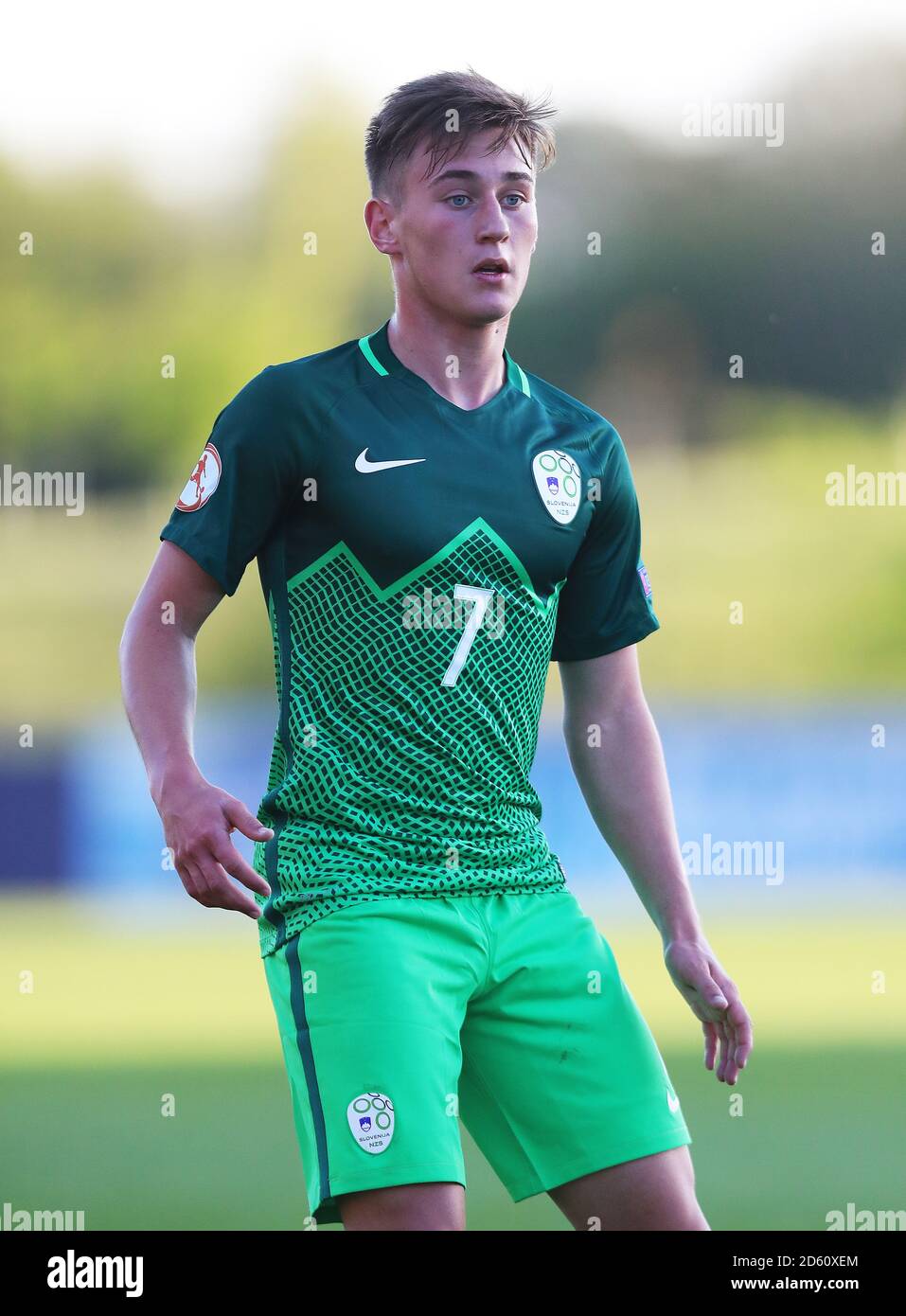 Martin pecar hi-res stock photography and images - Alamy