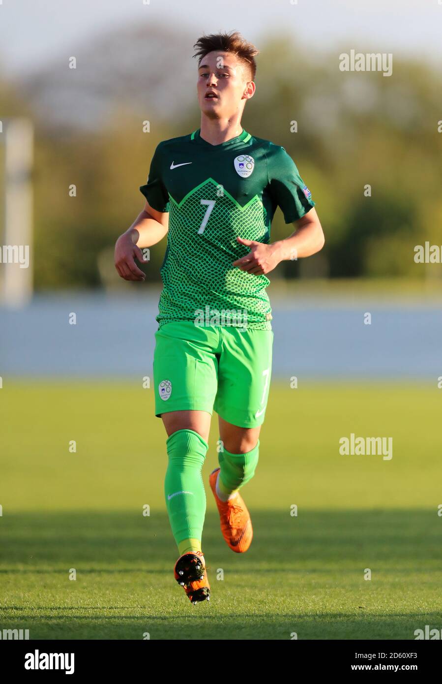 Pecar hi-res stock photography and images - Alamy