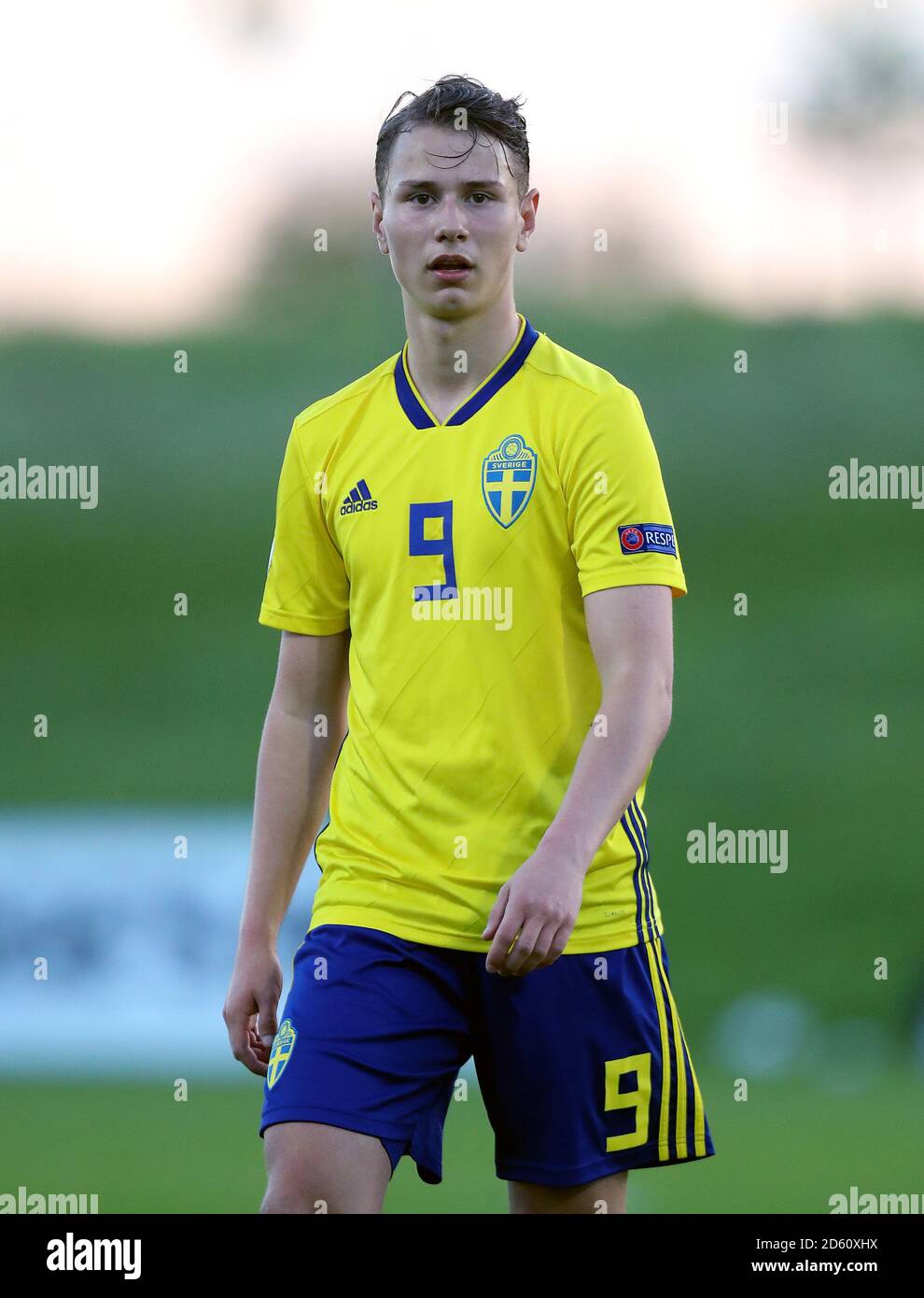 Alex timossi hi-res stock photography and images - Alamy