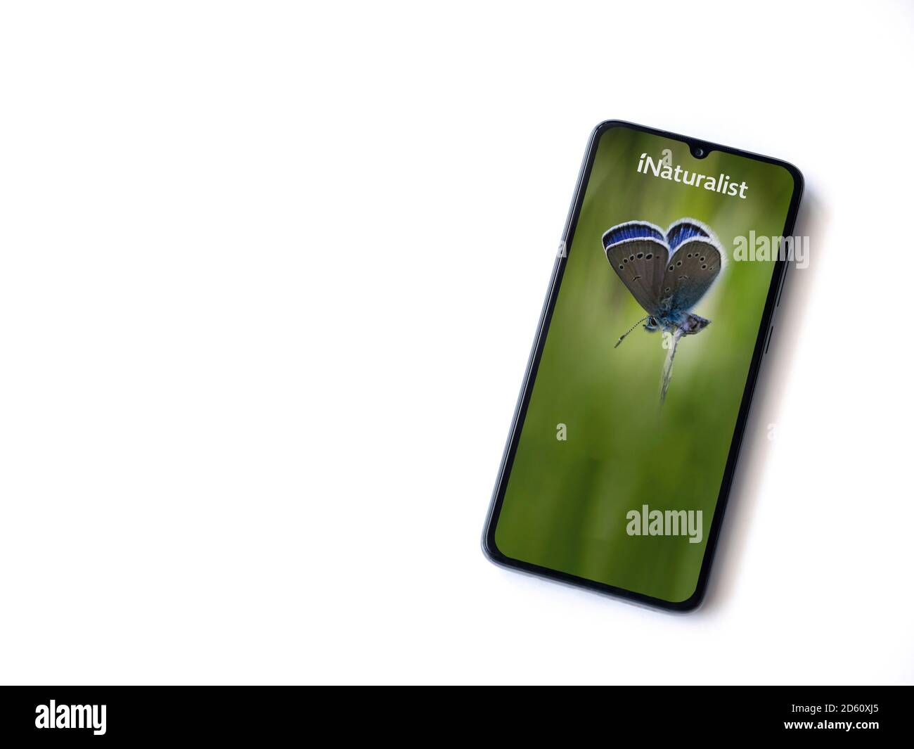 Inaturalist app hi-res stock photography and images - Alamy