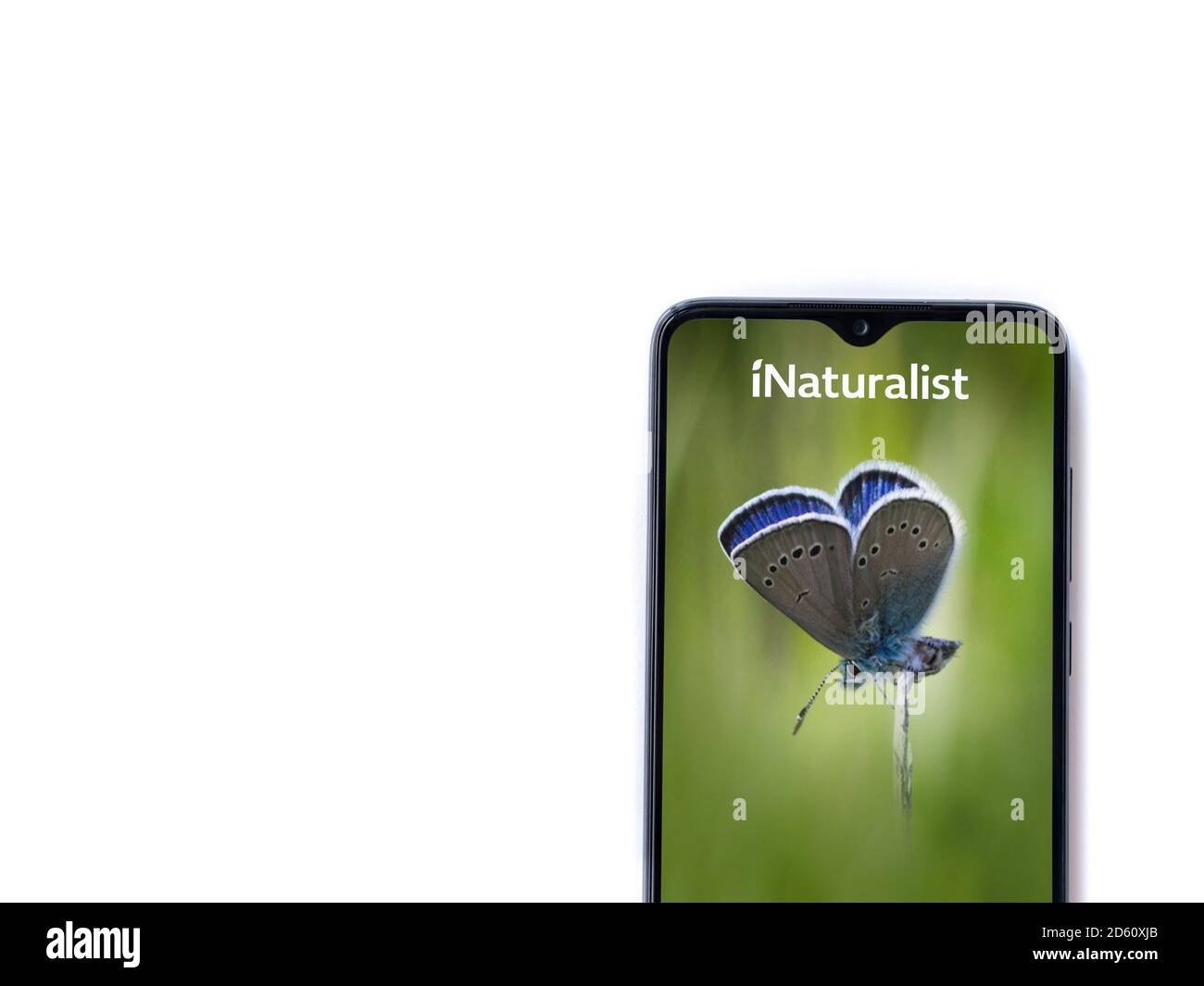 Lod, Israel - July 8, 2020: iNaturalist app launch screen with logo on ...