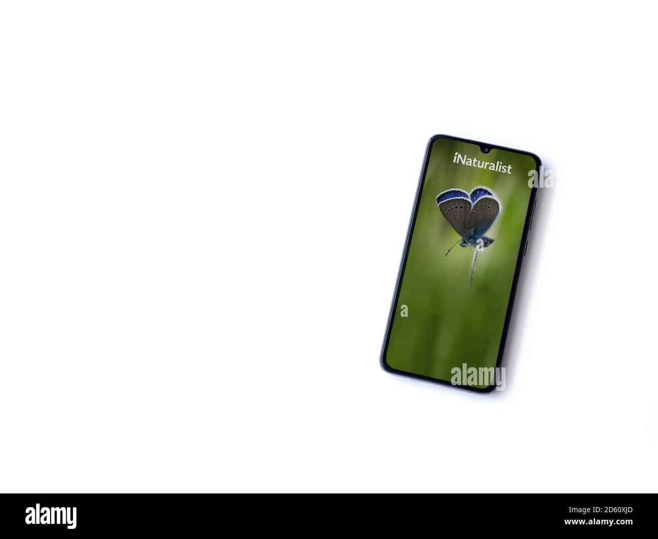 Lod, Israel - July 8, 2020: iNaturalist app launch screen with logo on ...