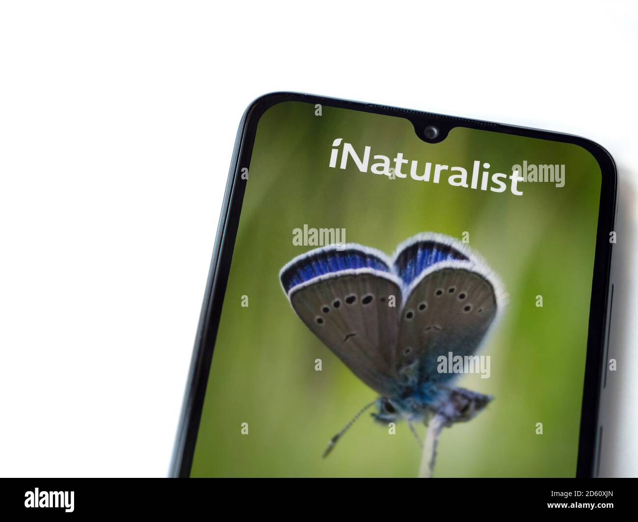Lod, Israel - July 8, 2020: iNaturalist app launch screen with logo on ...