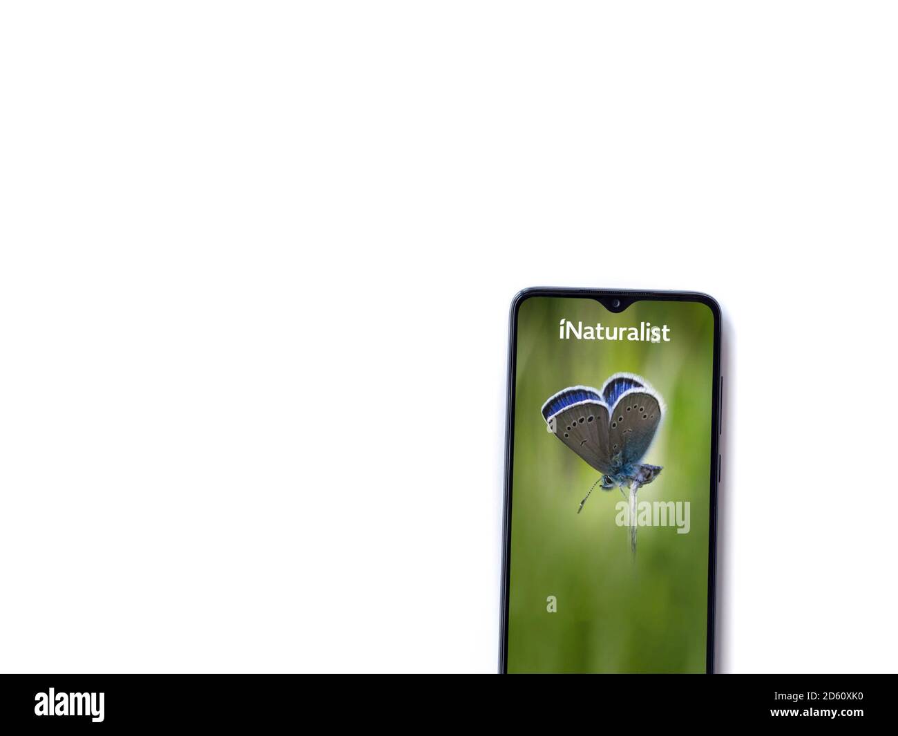 Lod, Israel - July 8, 2020: iNaturalist app launch screen with logo on ...