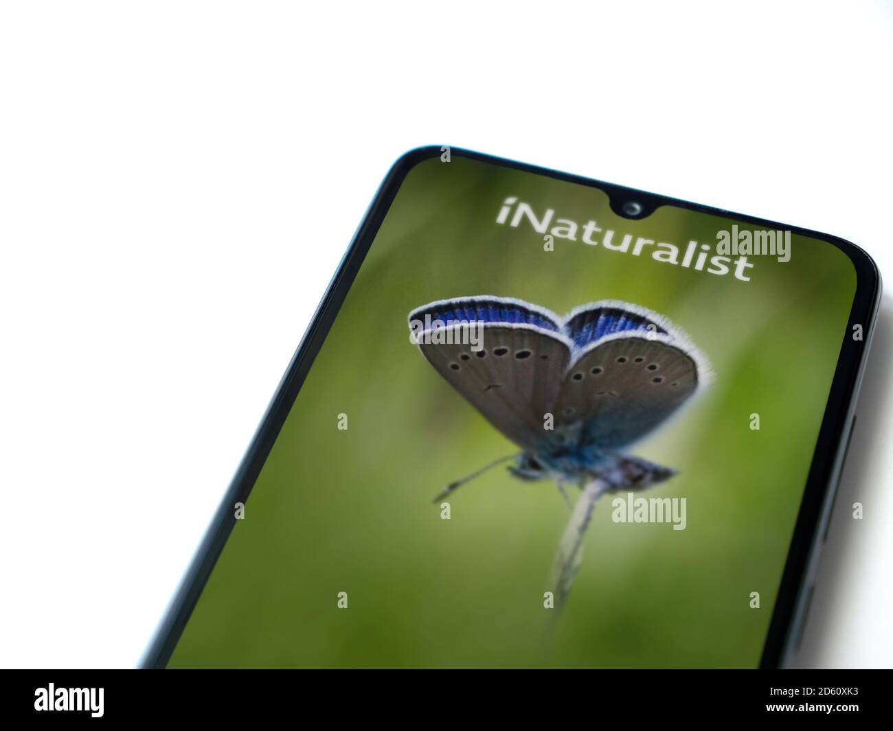 Lod, Israel - July 8, 2020: iNaturalist app launch screen with logo on ...