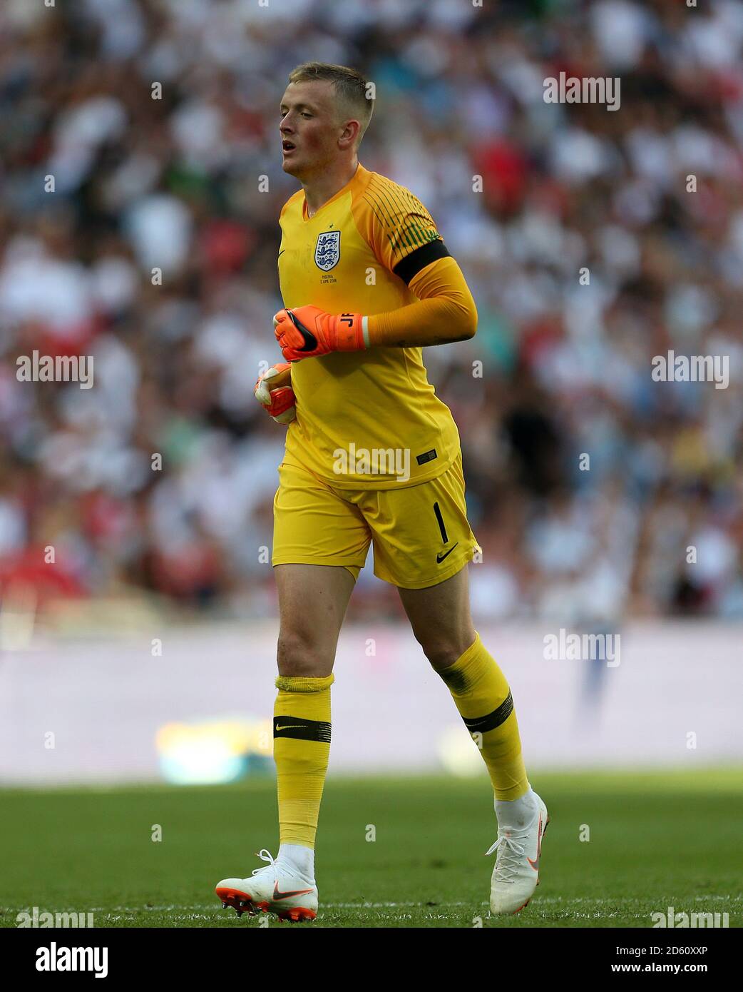 England's Jordan Pickford in action Stock Photo - Alamy
