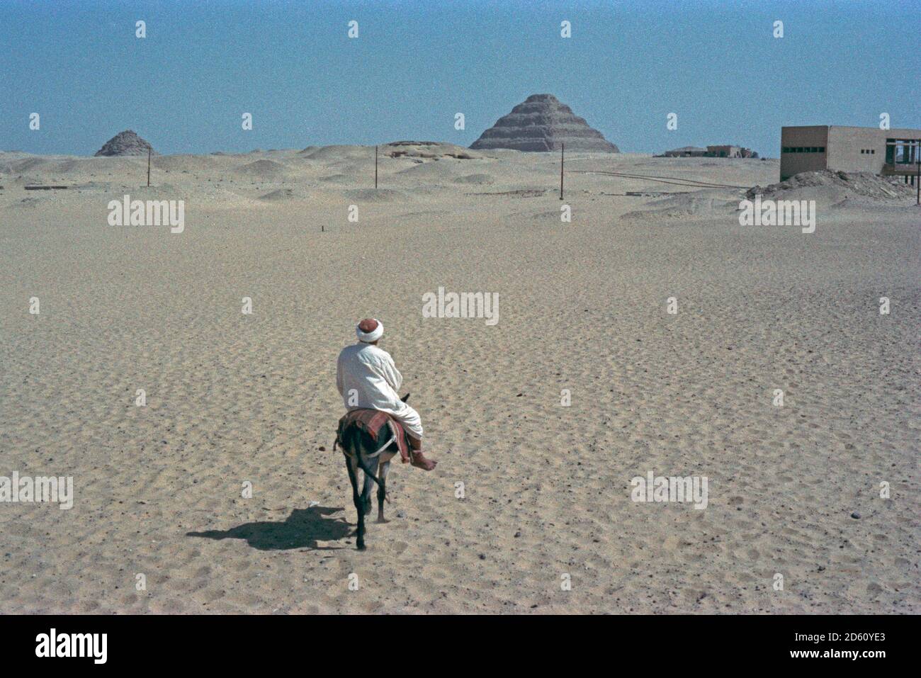 Donkey pyramid giza egypt hi-res stock photography and images - Alamy