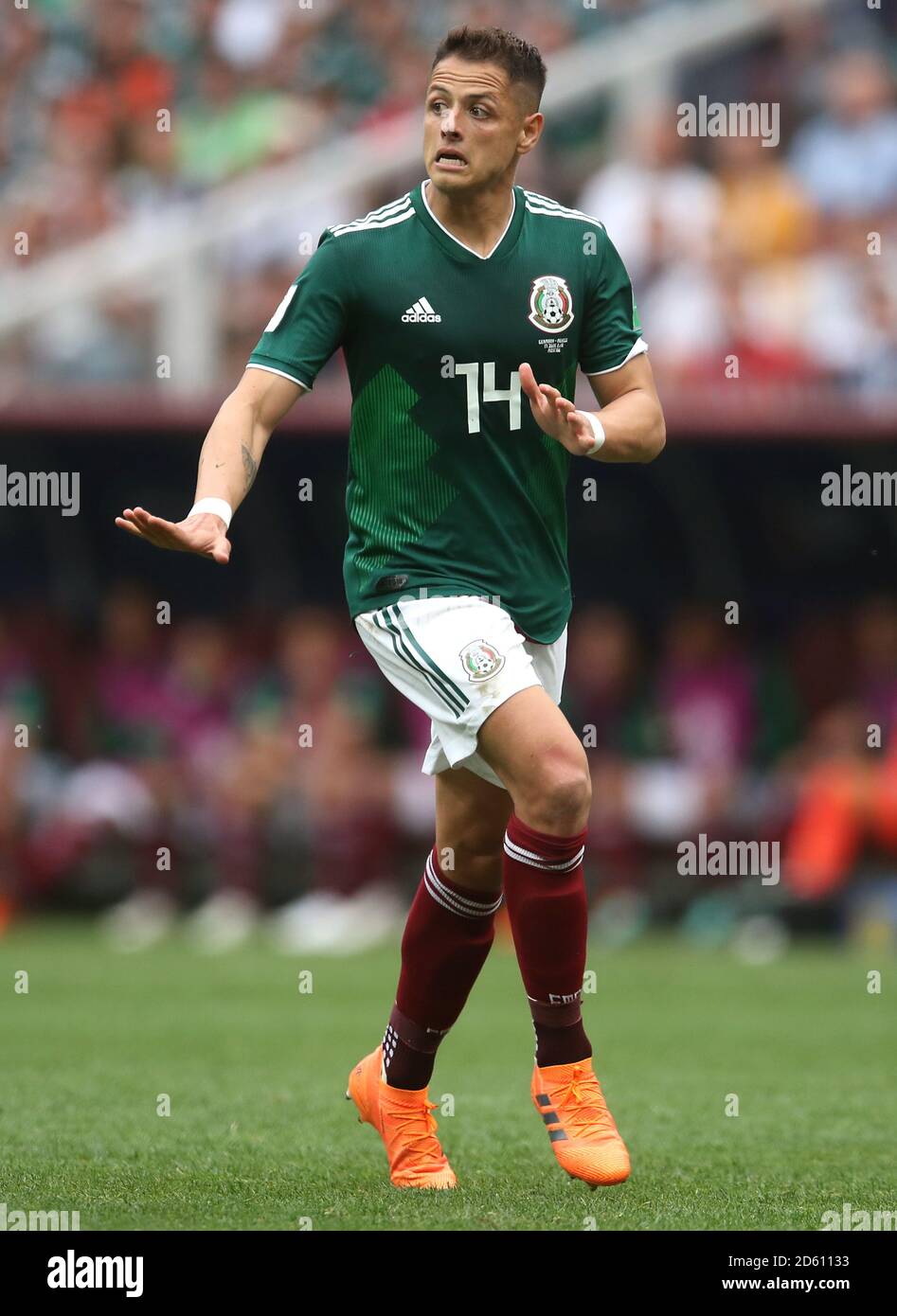 Mexico's Javier Hernandez Stock Photo - Alamy