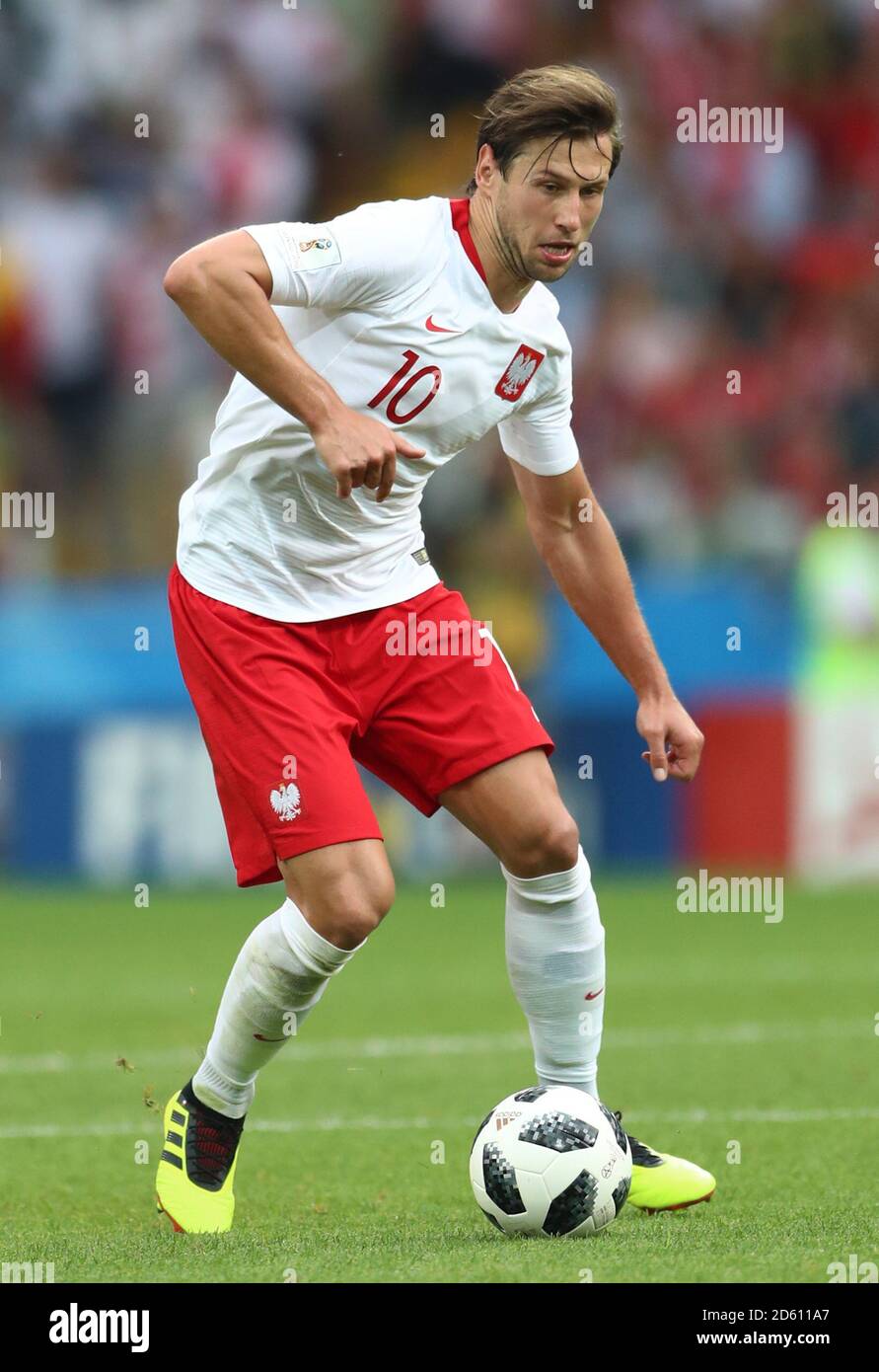 Poland's Grzegorz Krychowiak Stock Photo - Alamy