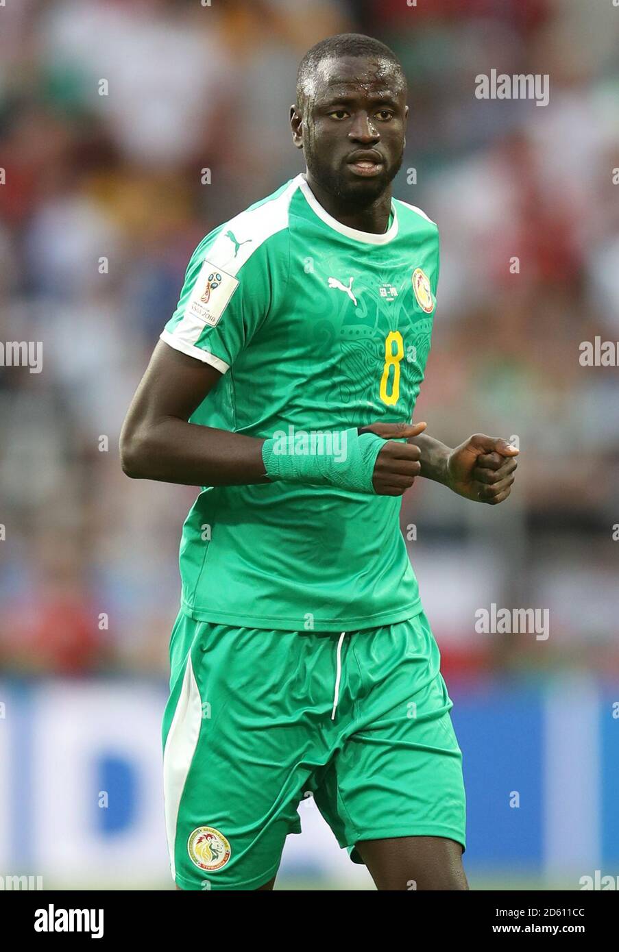Senegal's Cheikhou Kouyate Stock Photo - Alamy