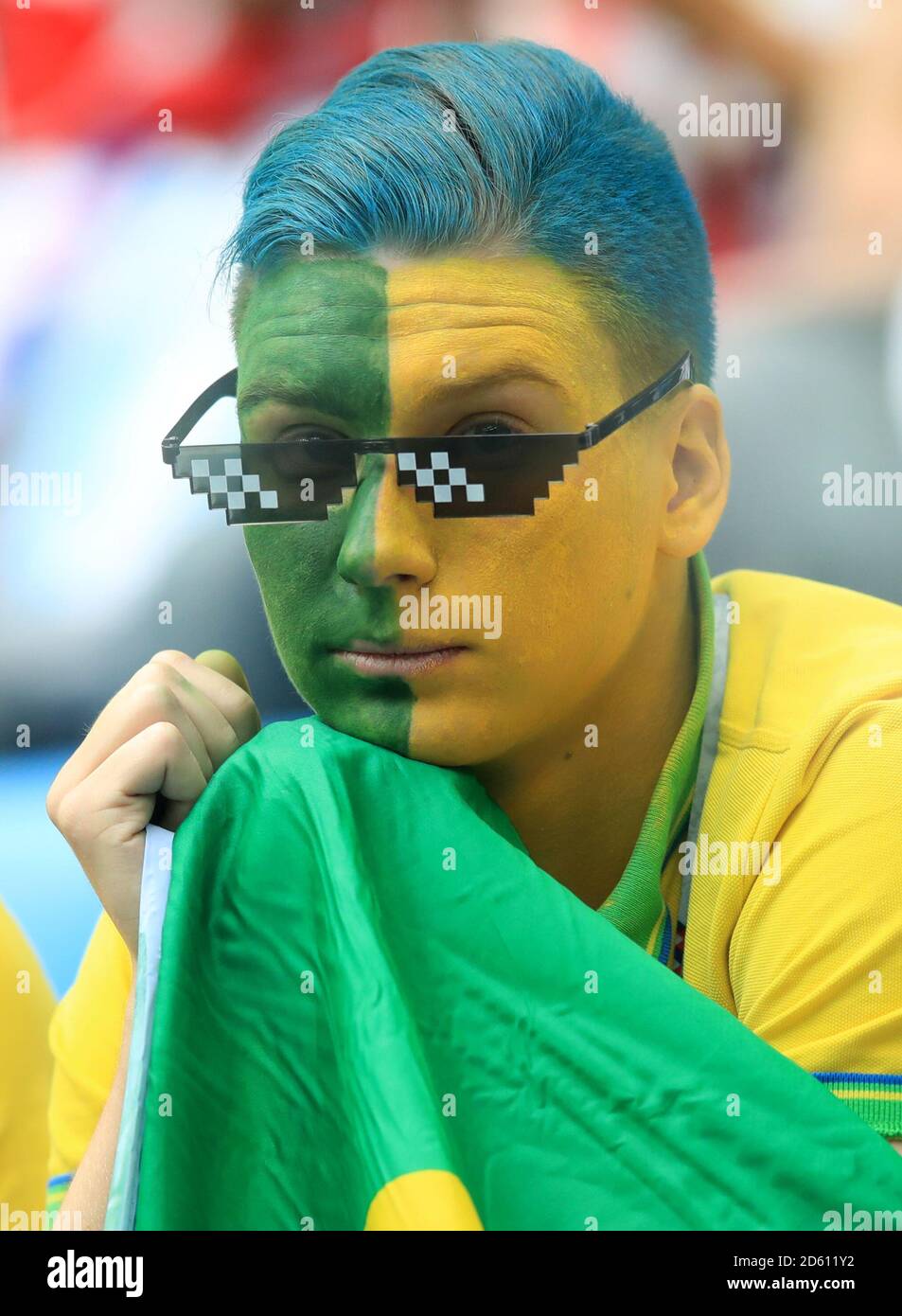A fan of brazil in stands hi-res stock photography and images - Alamy